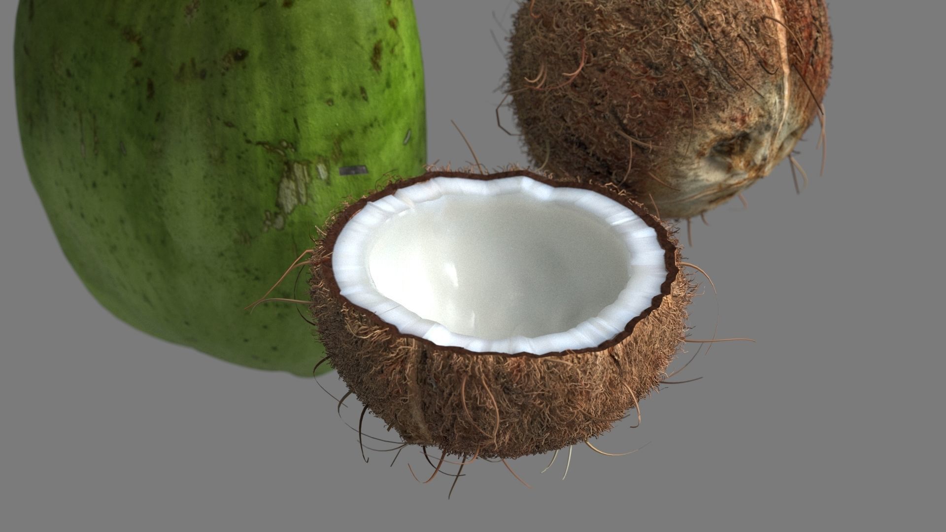 Coconut Coco 3D model | CGTrader