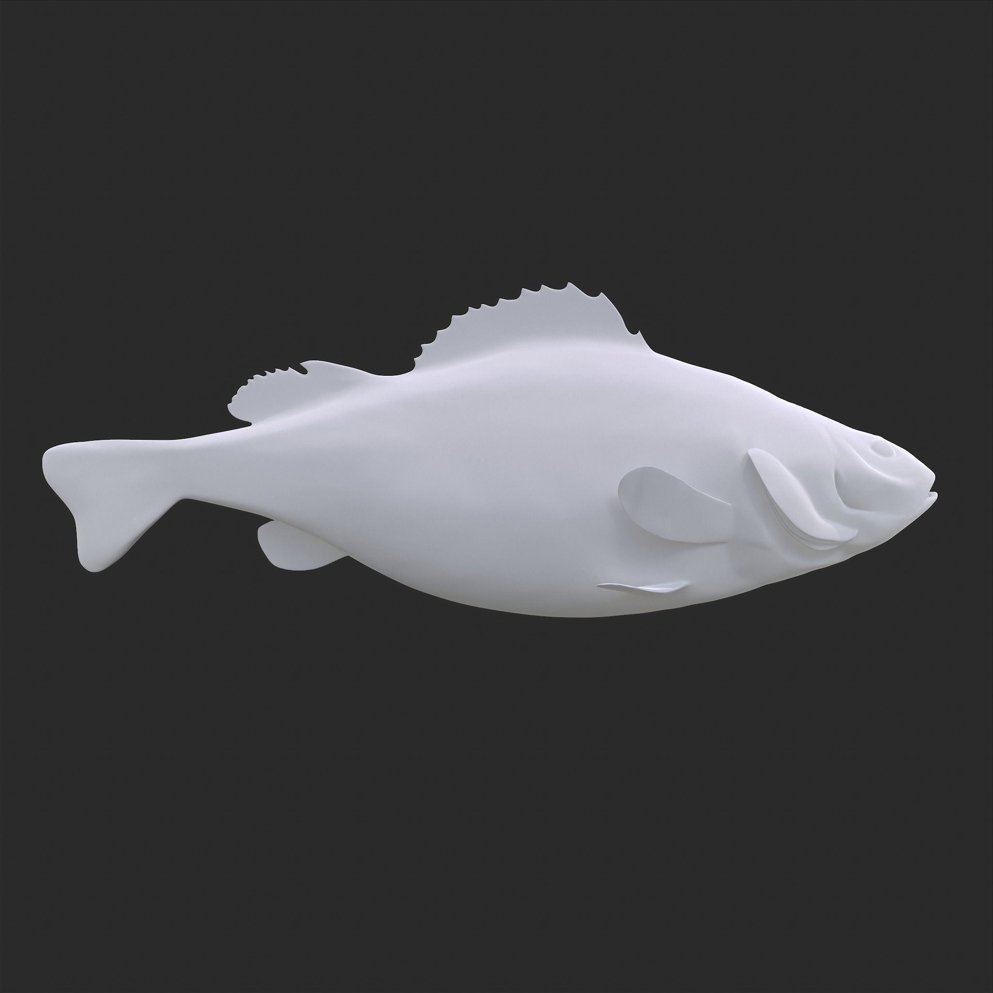 Perch 3D Print fish 3D model 3D printable | CGTrader