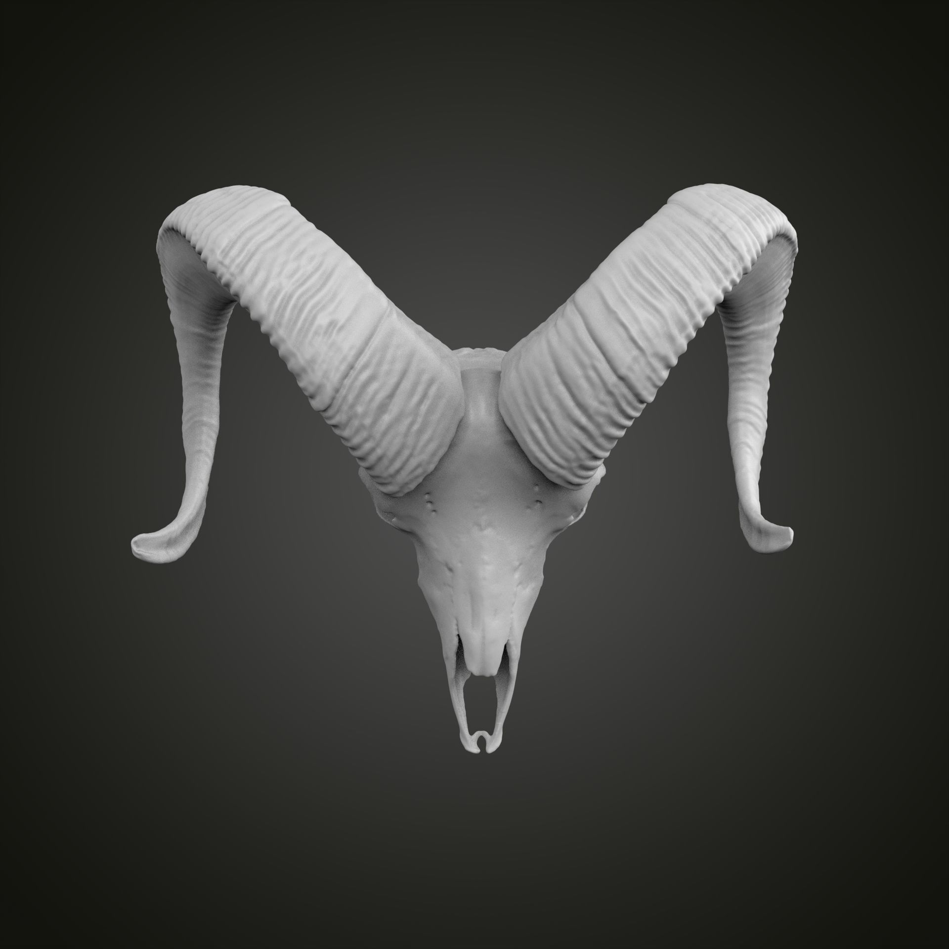 Sheep scull 3D model 3D printable | CGTrader