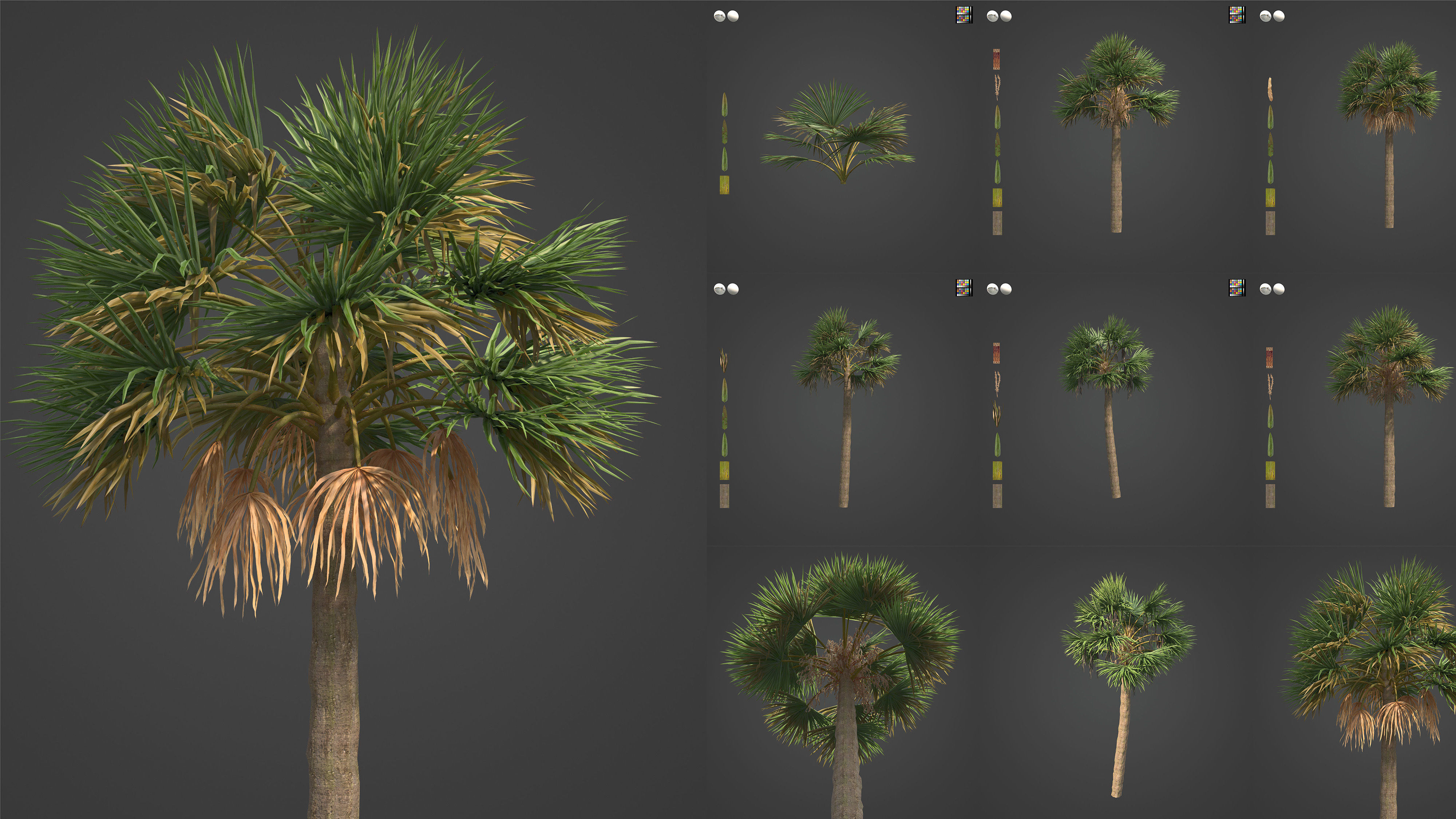 Xfrog Americas 3D Model Collection | CGTrader