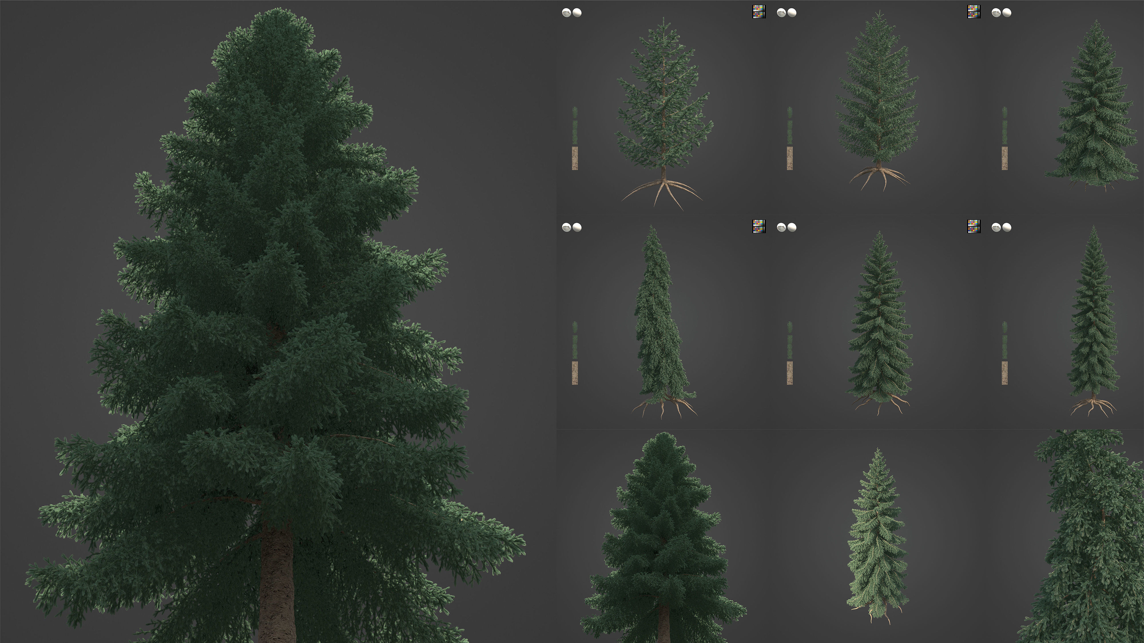 Xfrog Americas 3D Model Collection | CGTrader