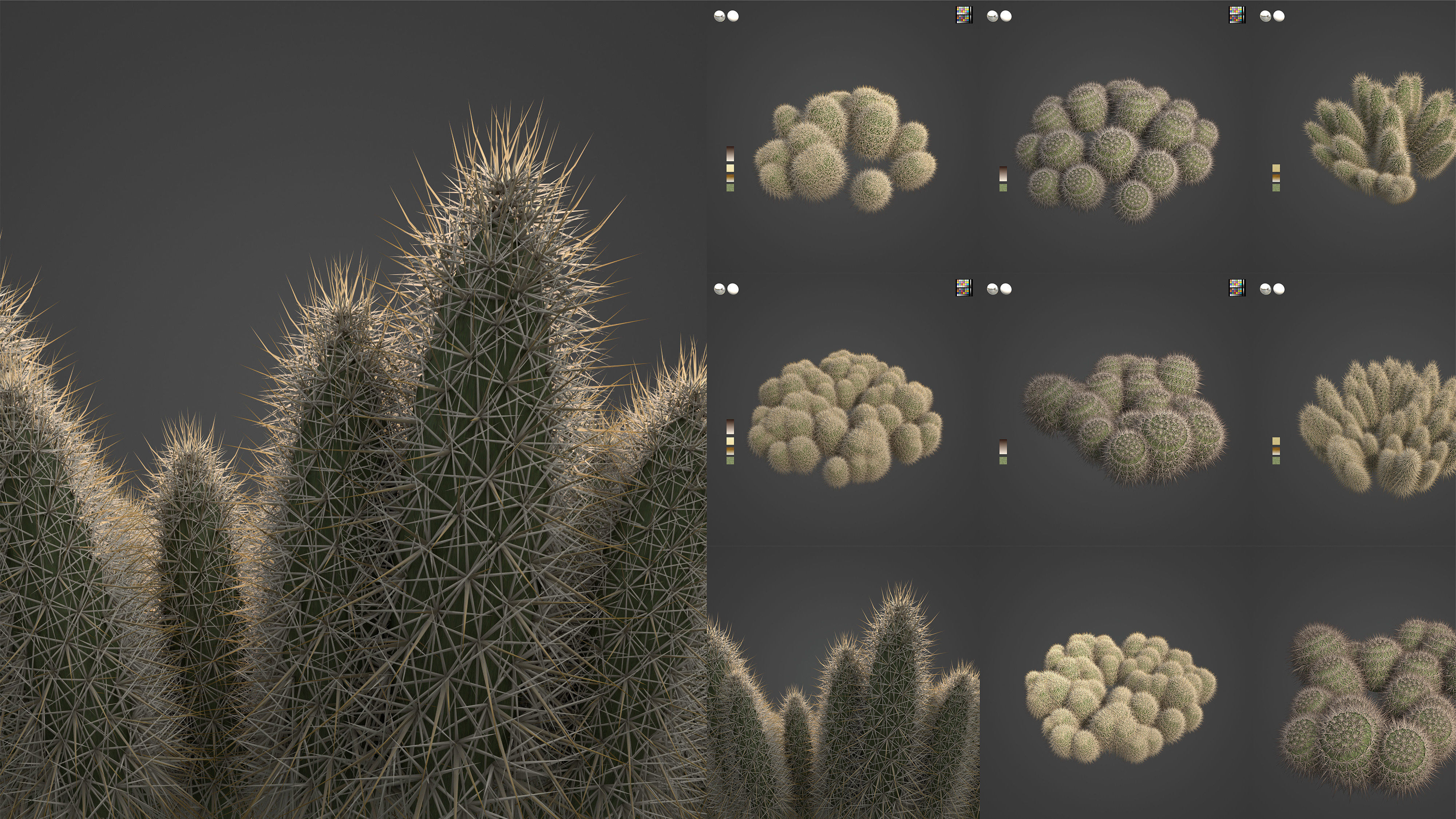 3D Model Collection Xfrog Americas VR / AR / low-poly | CGTrader