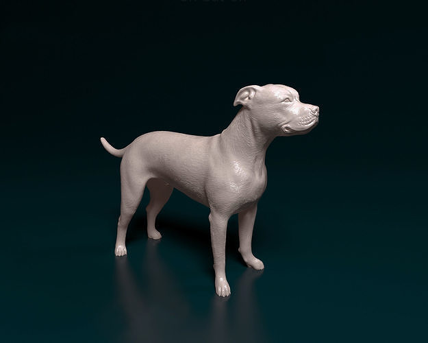 Staffordshire bull terrier x American bulldog 3D model 3D printable ...
