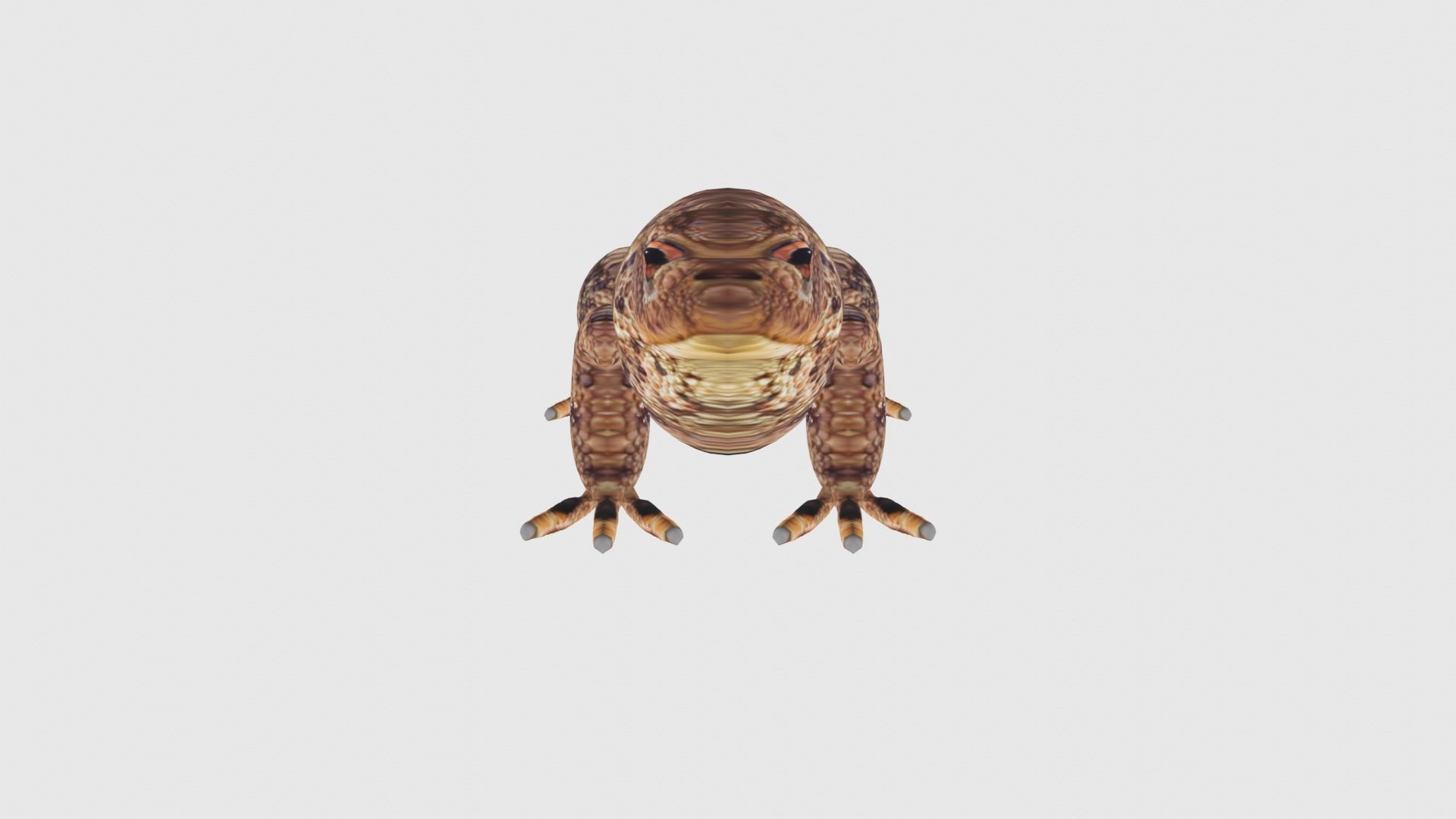 3D model Low Poly Toad Rigged With Realistic Texture VR / AR / low-poly ...