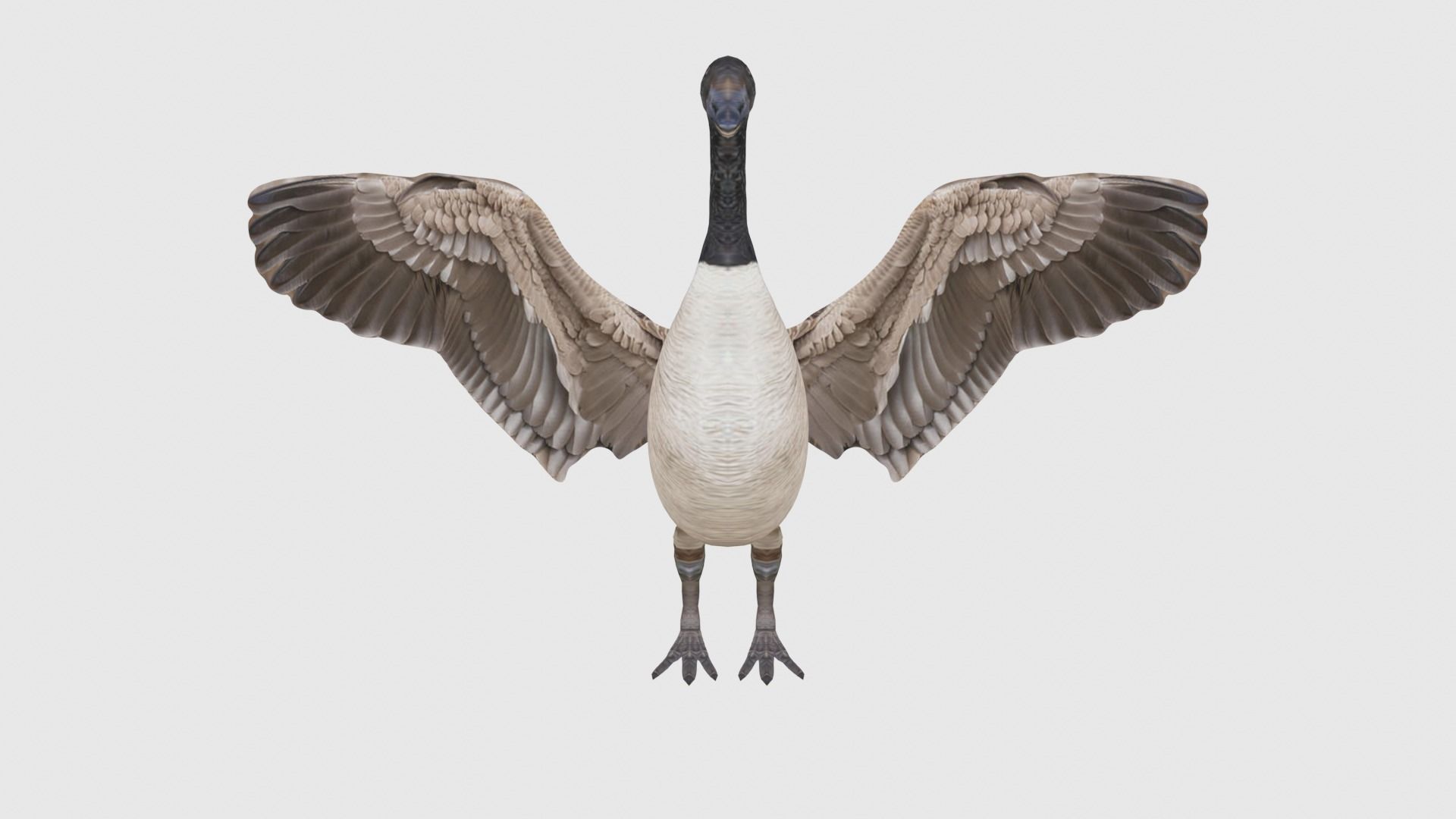 Low Poly Goose Rigged With Realistic Texture 3D model rigged | CGTrader