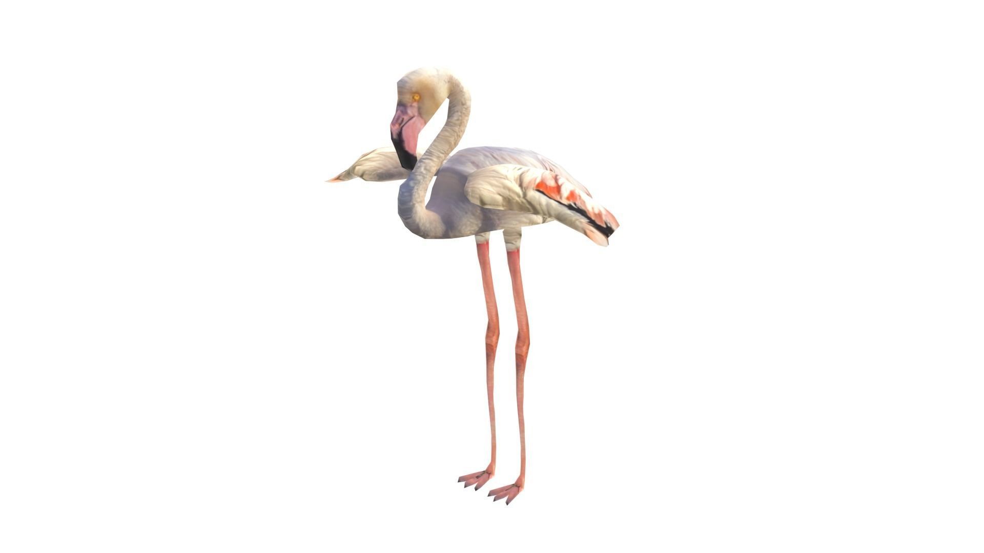 3D model Low Poly Flamingo Rigged With Realistic Texture VR / AR / low ...