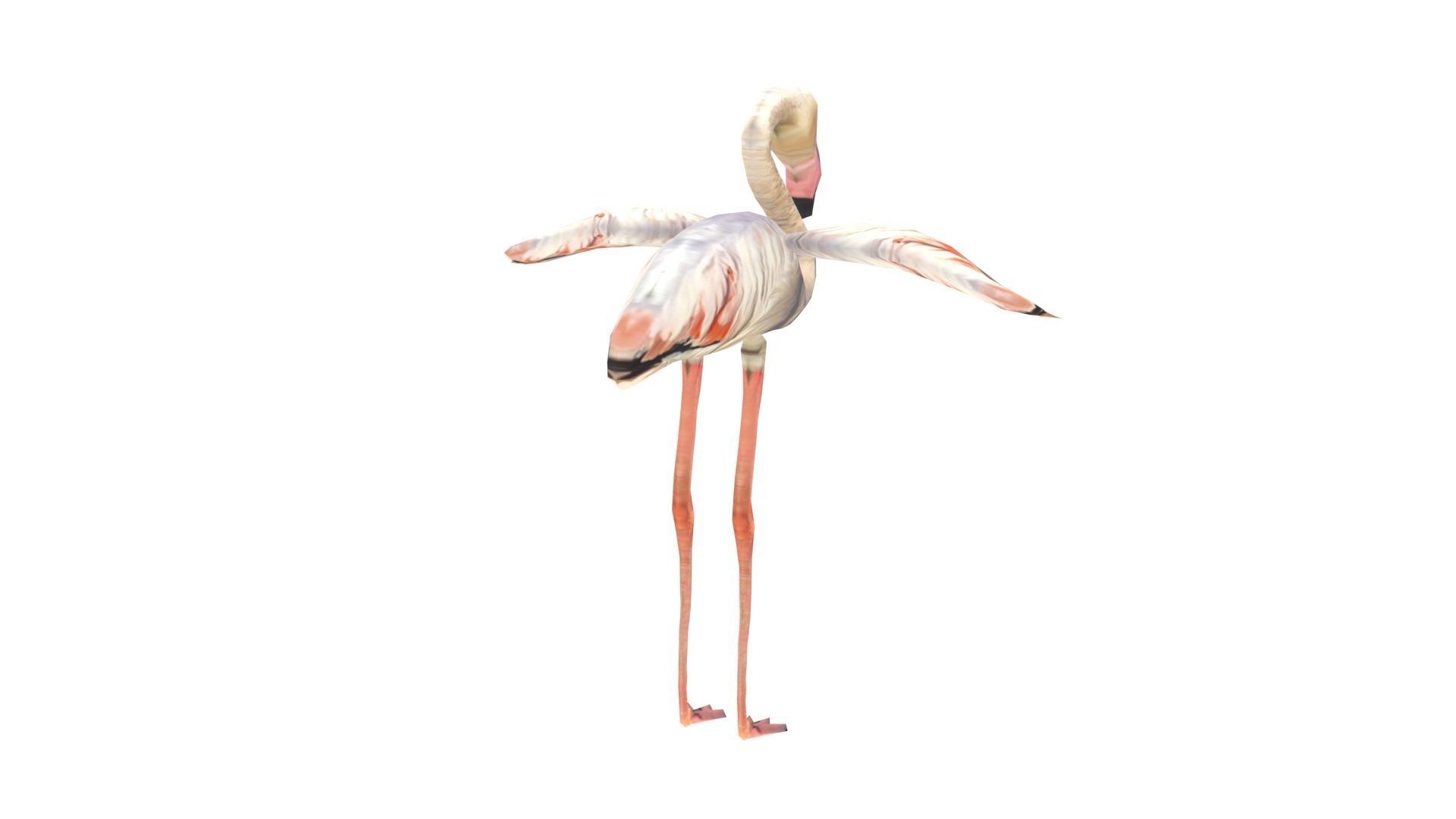 3D model Low Poly Flamingo Rigged With Realistic Texture VR / AR / low ...