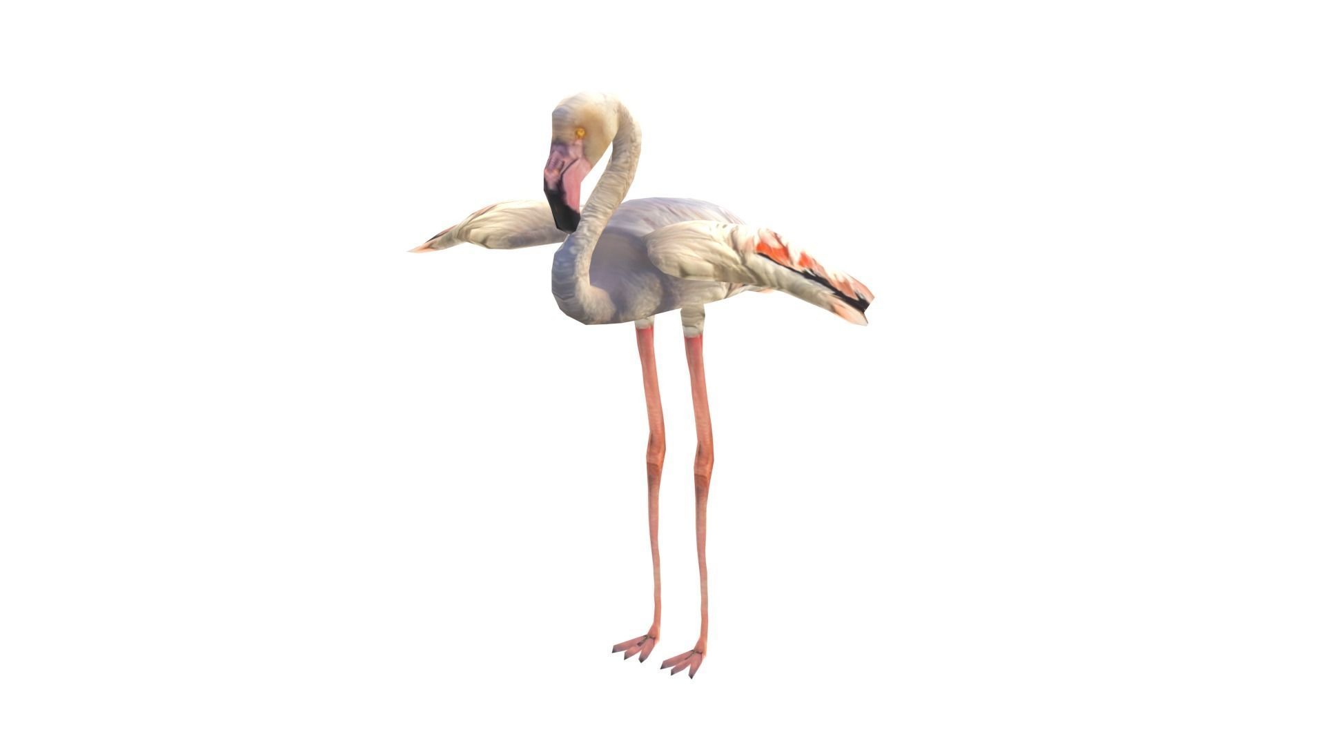 3D model Low Poly Flamingo Rigged With Realistic Texture VR / AR / low ...