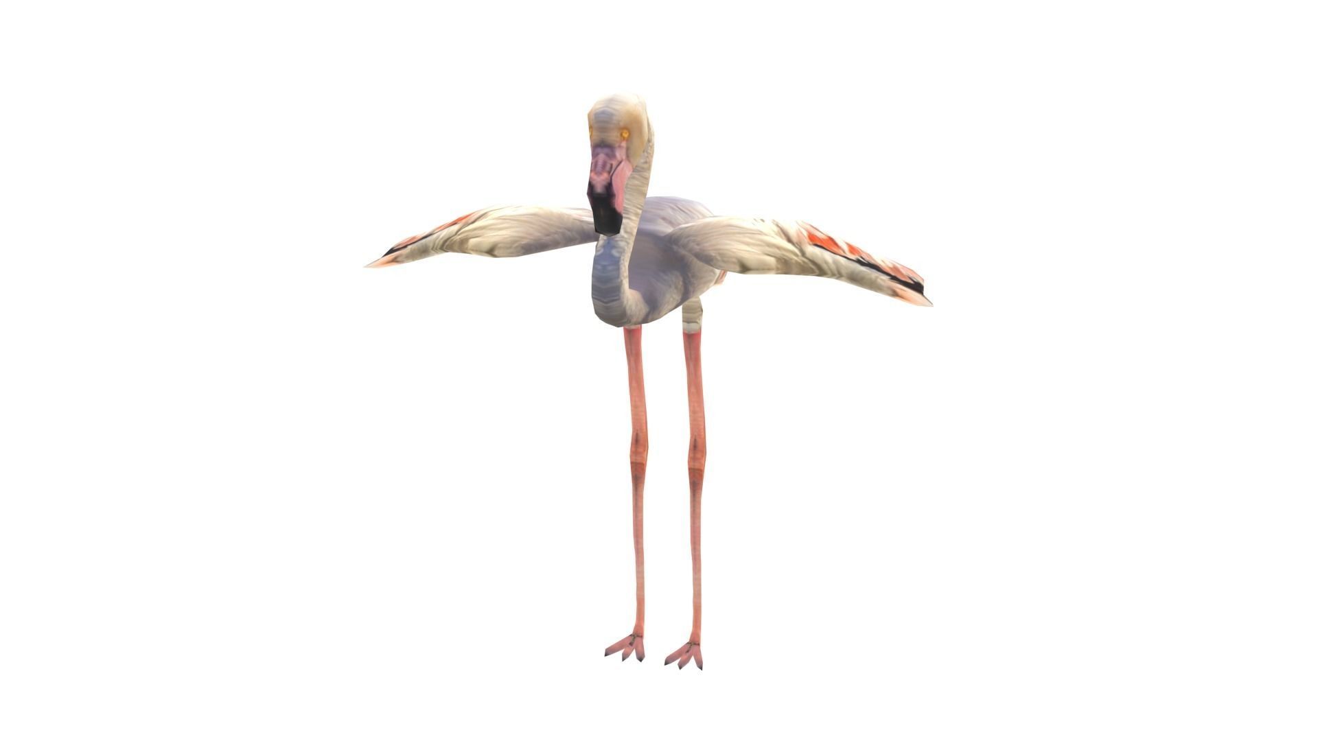3D model Low Poly Flamingo Rigged With Realistic Texture VR / AR / low ...