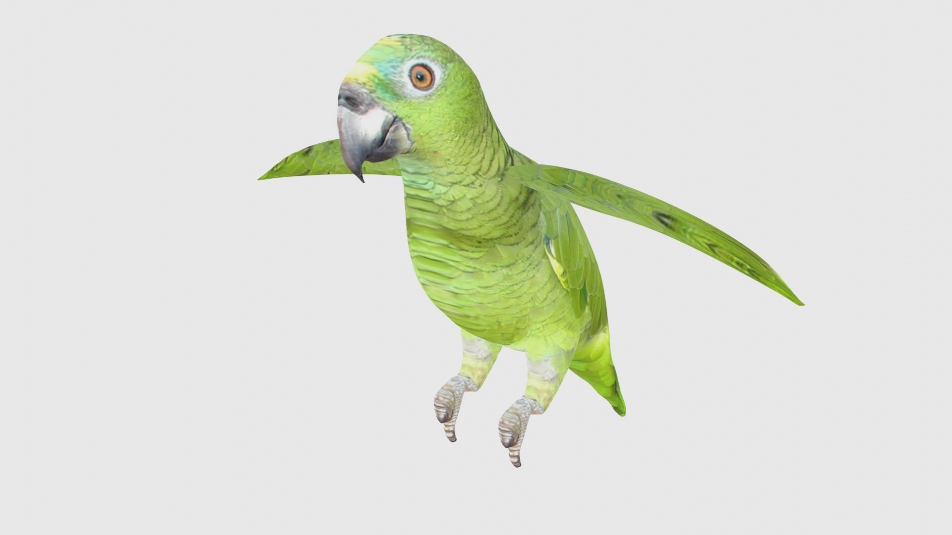 Low Poly Parrot Rigged With Realistic Texture 3D model rigged | CGTrader