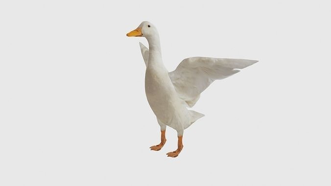 Low Poly Duck Rigged With Realistic Texture 3D model rigged | CGTrader