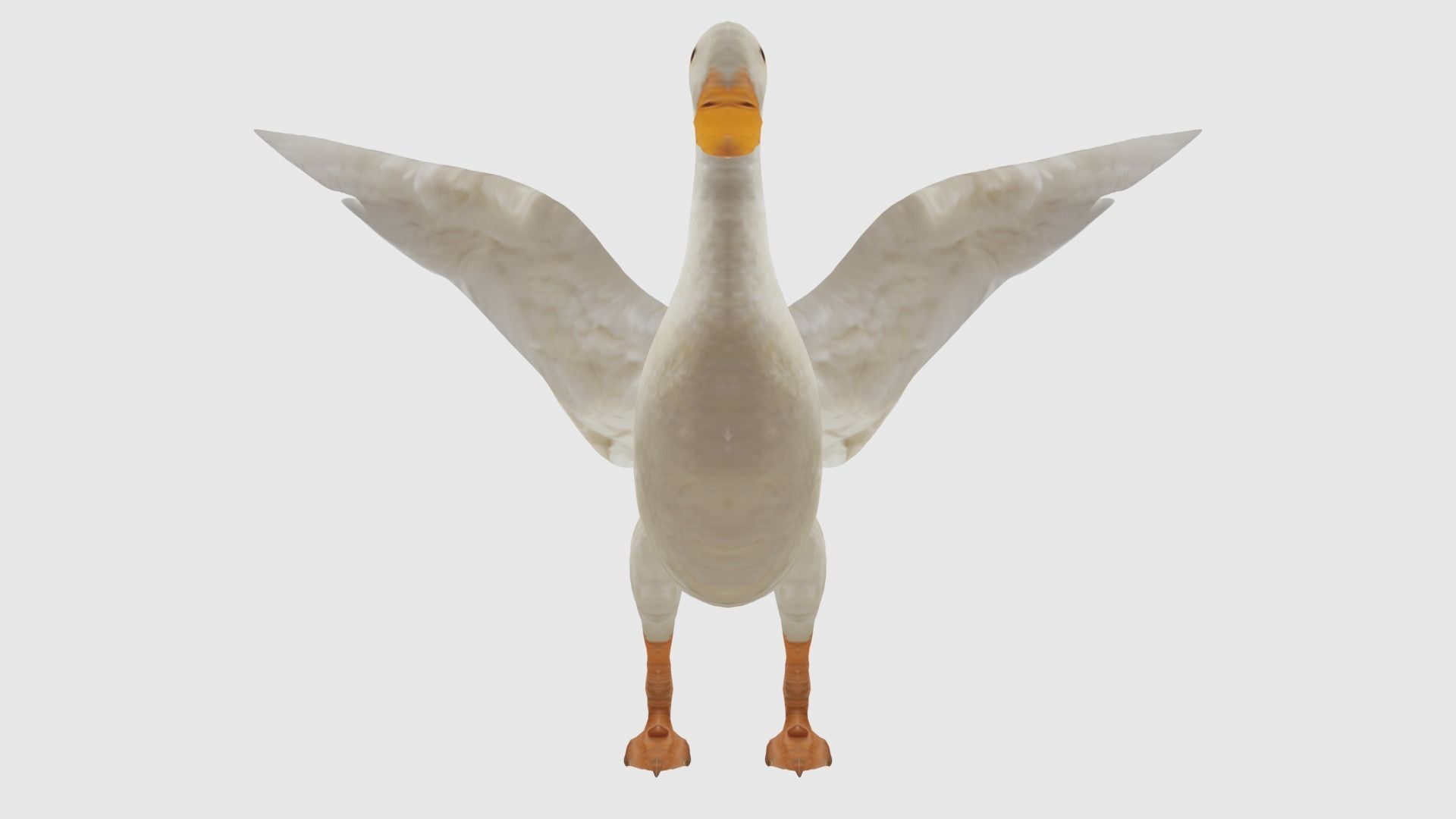 Low Poly Duck Rigged With Realistic Texture 3D model rigged | CGTrader