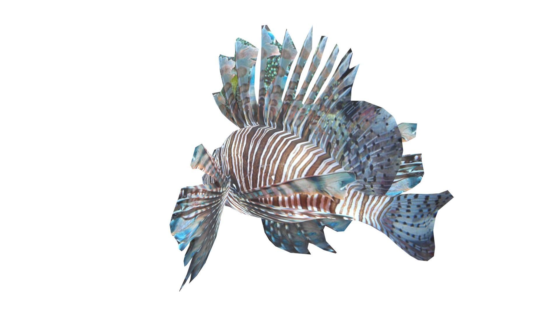 3D model Low Poly Lionfish Rigged With Realistic Texture VR / AR / low ...