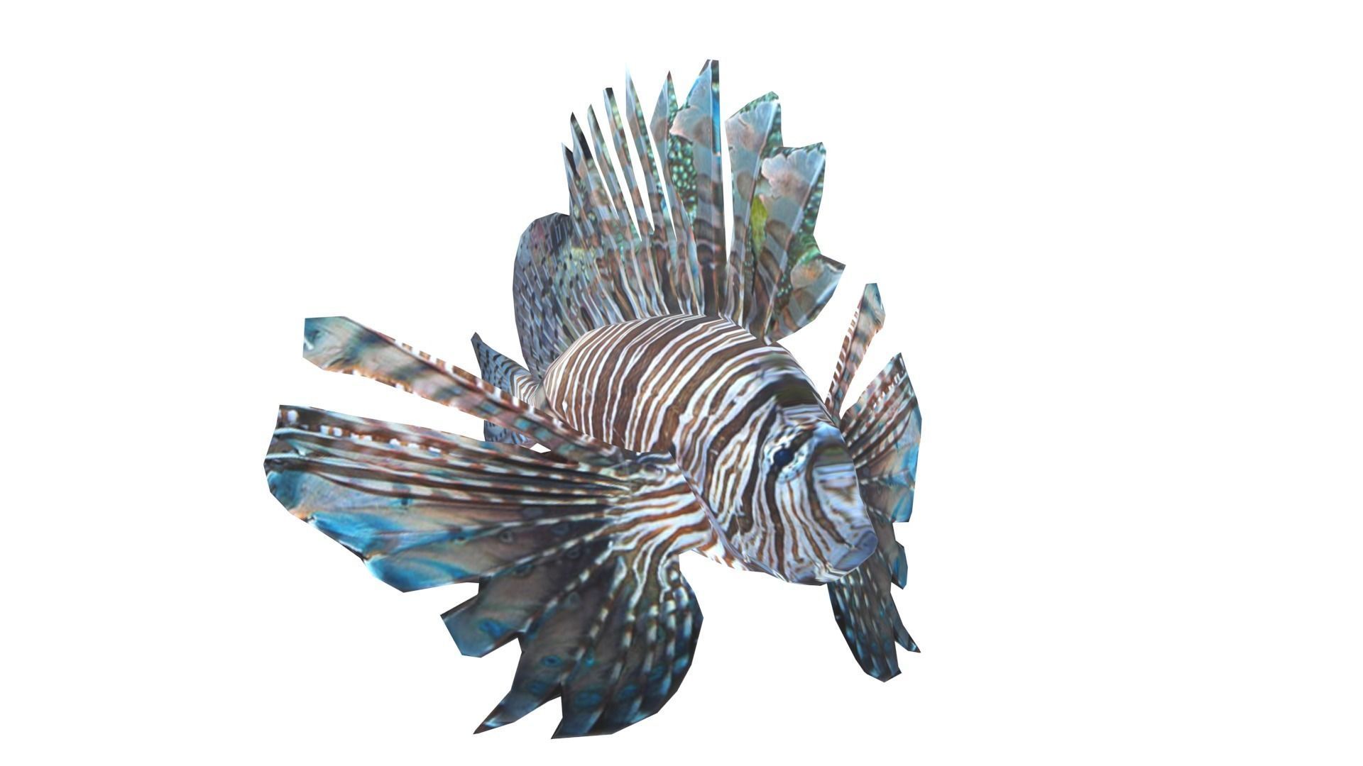 3D model Low Poly Lionfish Rigged With Realistic Texture VR / AR / low ...