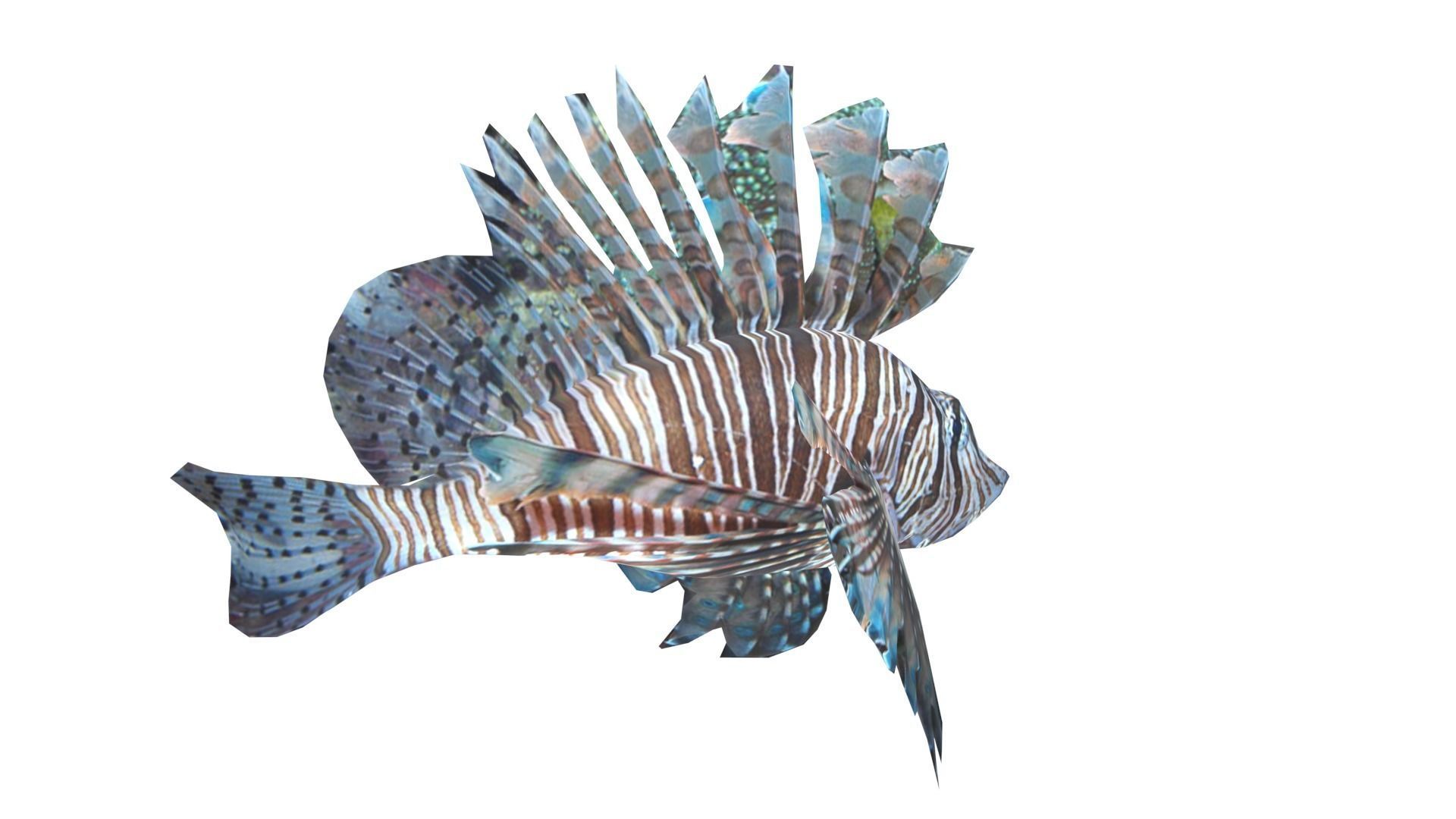 3D model Low Poly Lionfish Rigged With Realistic Texture VR / AR / low ...