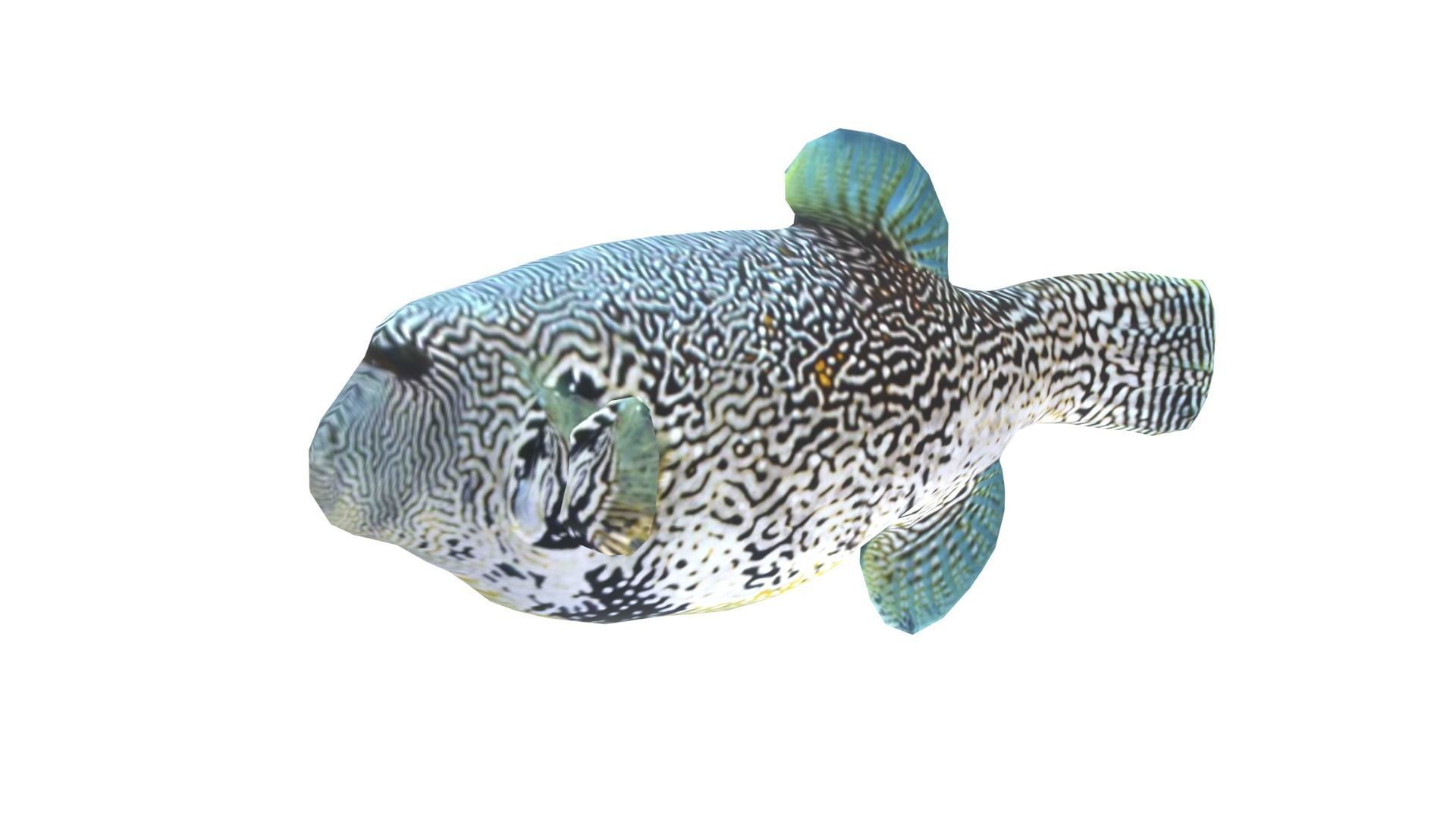 3D model Low Poly Pufferfish Rigged With Realistic Texture VR / AR ...