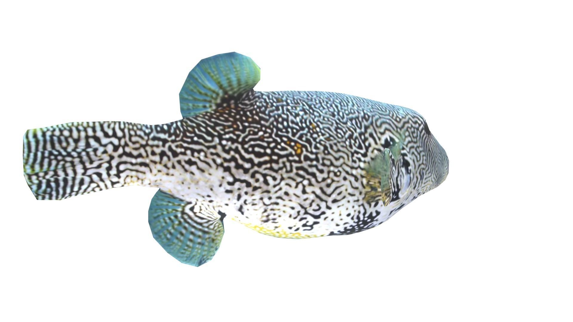 3D model Low Poly Pufferfish Rigged With Realistic Texture VR / AR ...