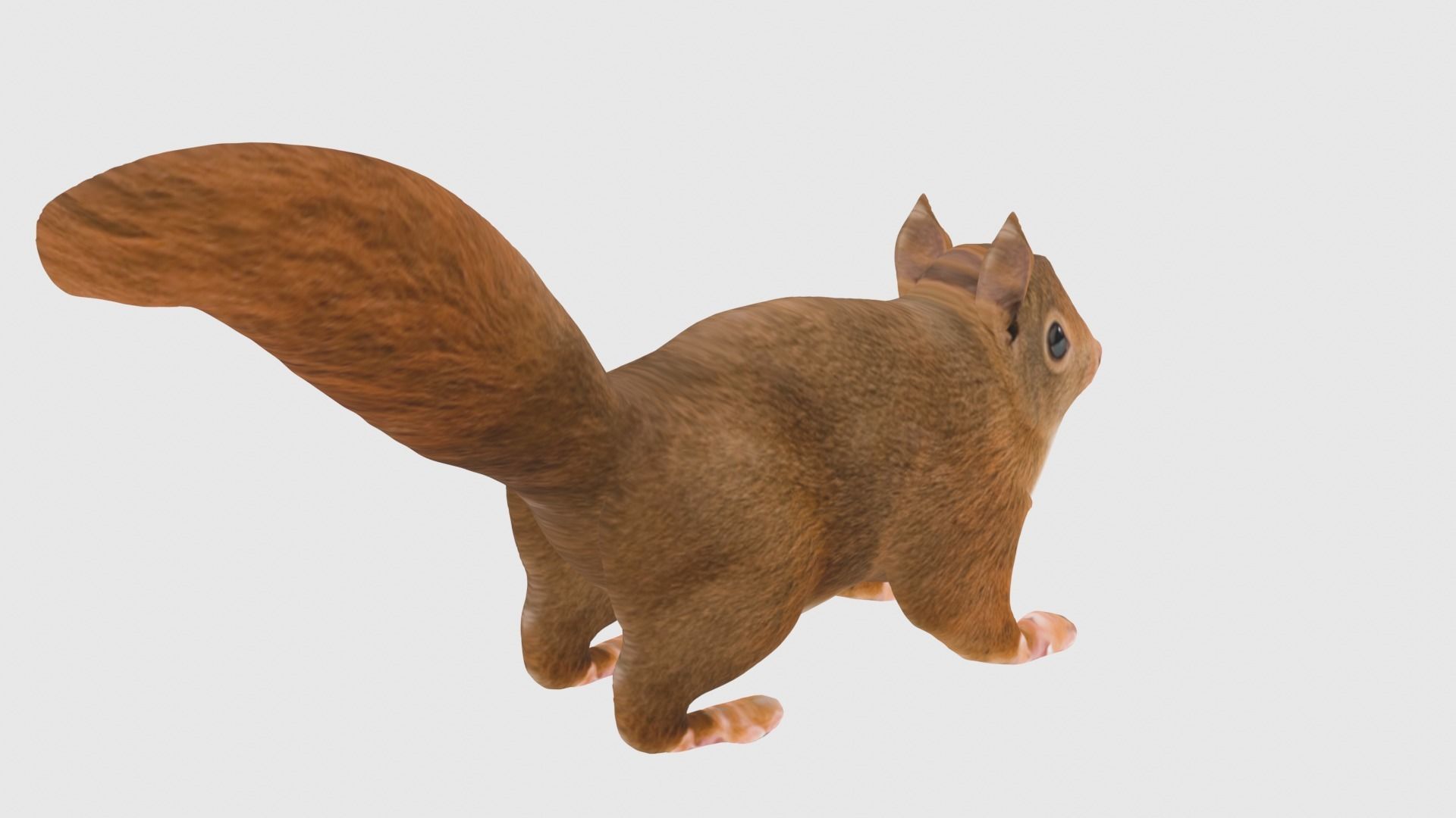 3D model Low Poly Squirrel Rigged With Realistic Texture VR / AR / low ...