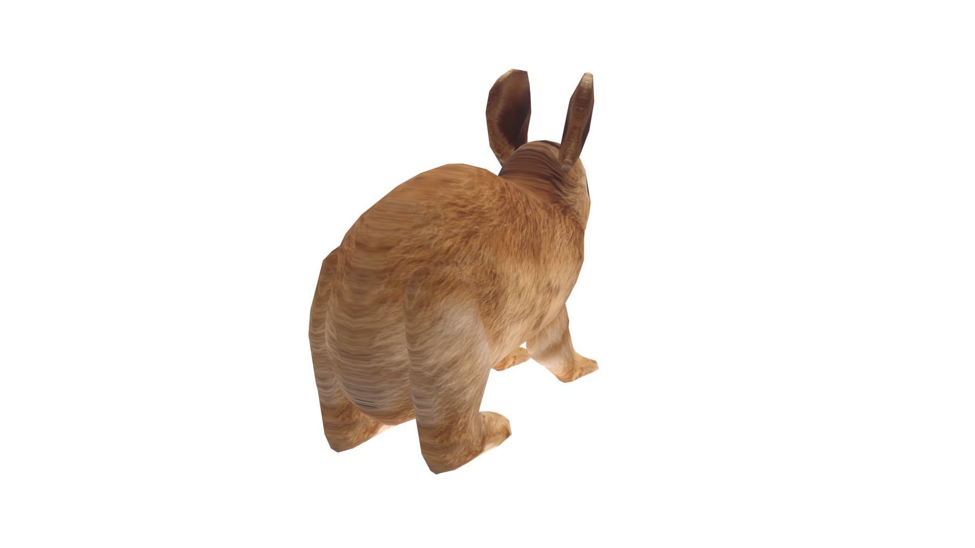 Low Poly Rabbit Rigged With Realistic Texture 3D model rigged | CGTrader