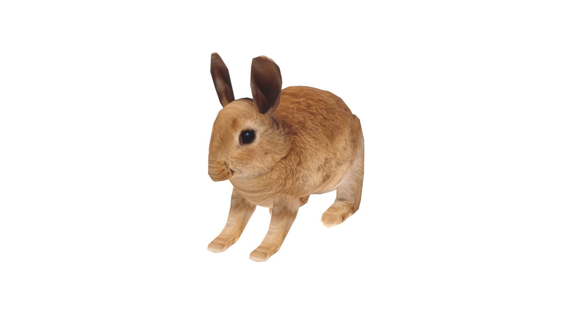 Low Poly Rabbit Rigged With Realistic Texture 3D model rigged | CGTrader