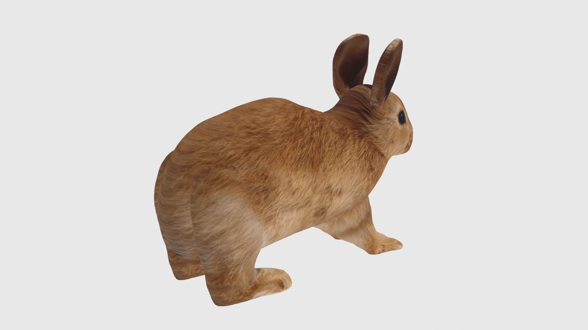 Low Poly Rabbit Rigged With Realistic Texture 3D model rigged | CGTrader