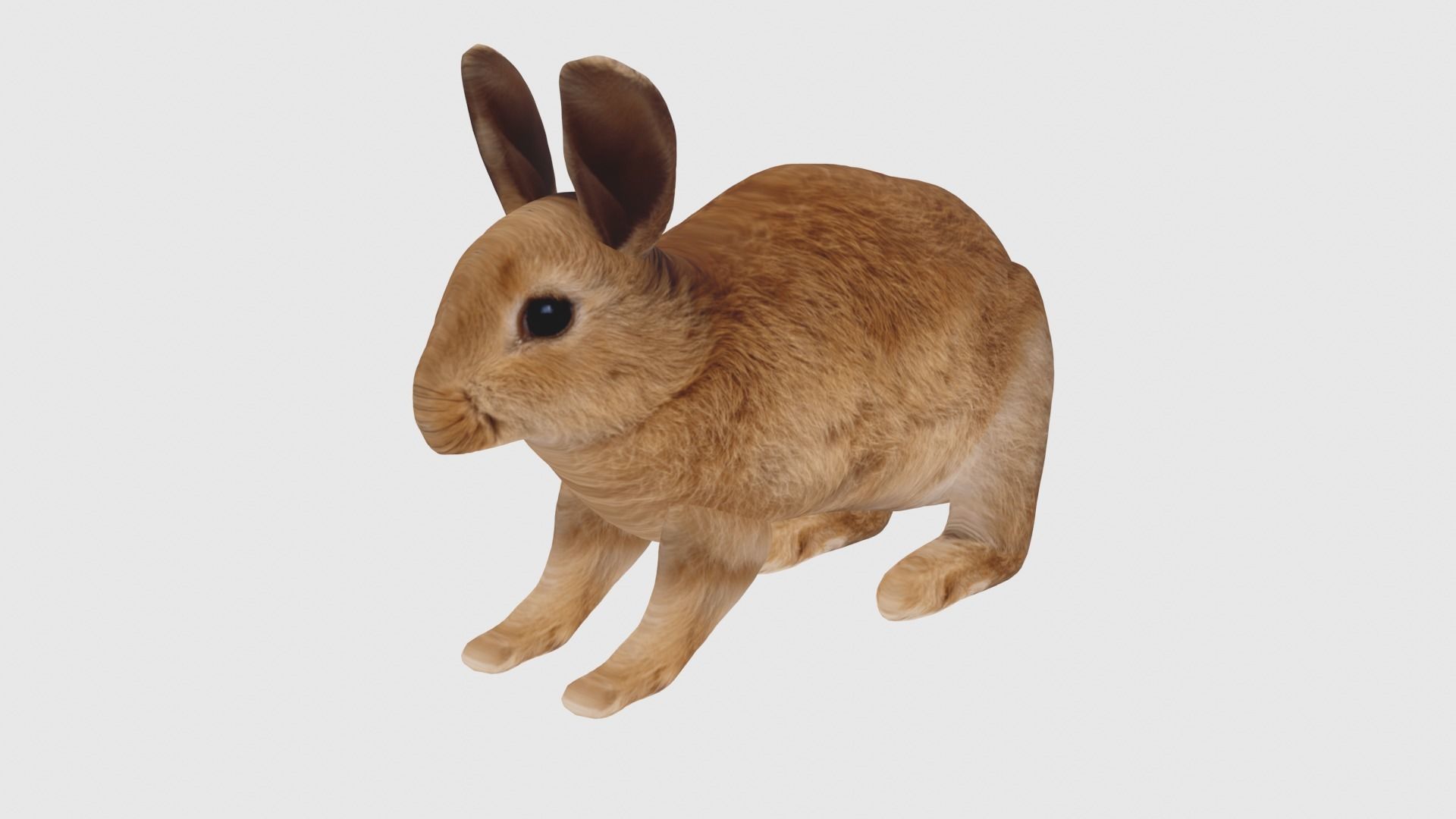 Low Poly Rabbit Rigged With Realistic Texture 3D model rigged | CGTrader