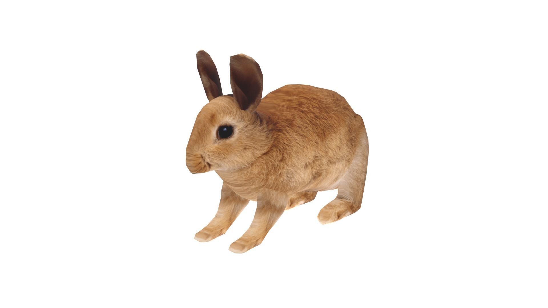 Low Poly Rabbit Rigged With Realistic Texture 3D model rigged | CGTrader