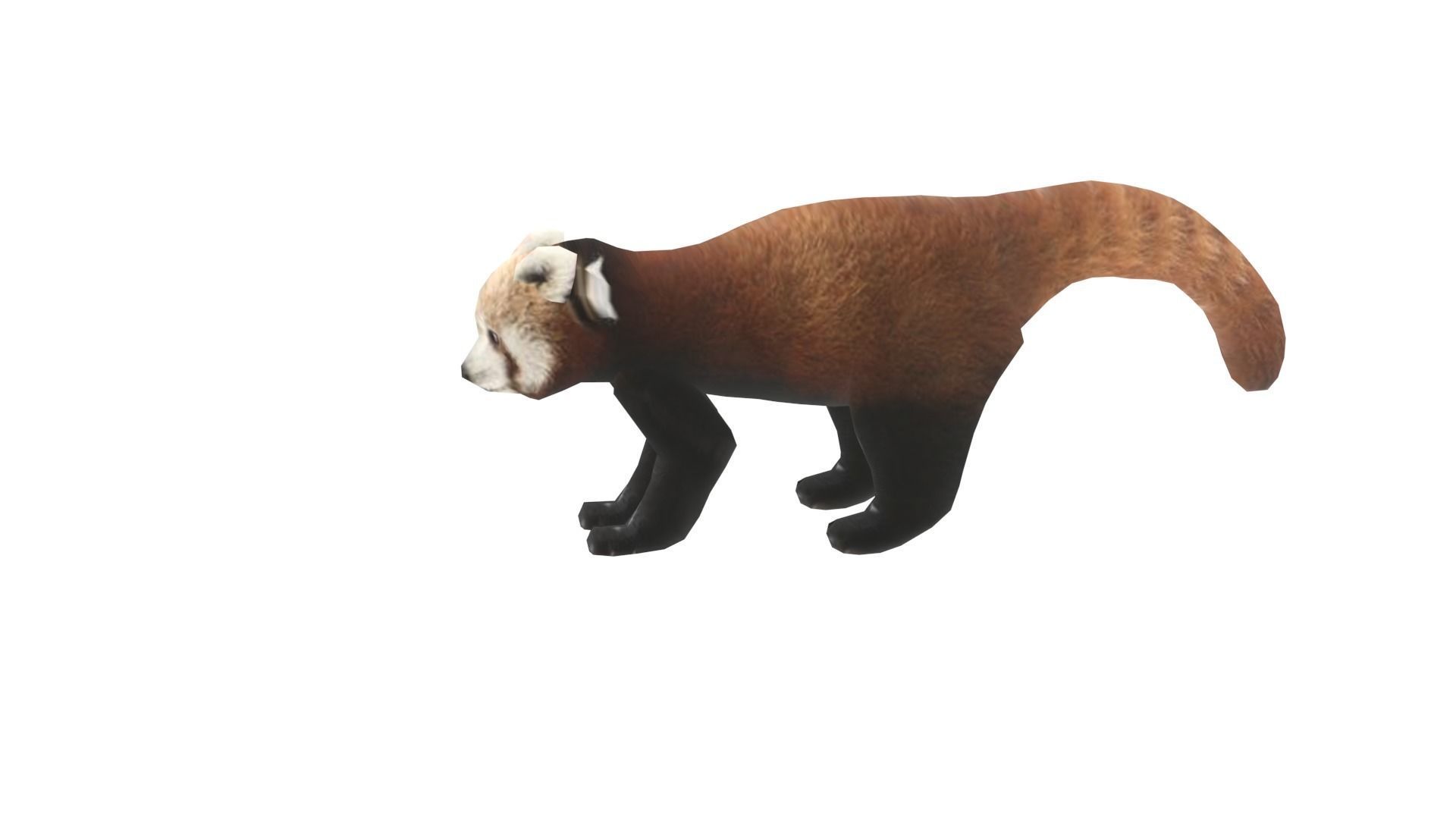Low Poly Red Panda Rigged With Realistic Texture 3D model rigged | CGTrader