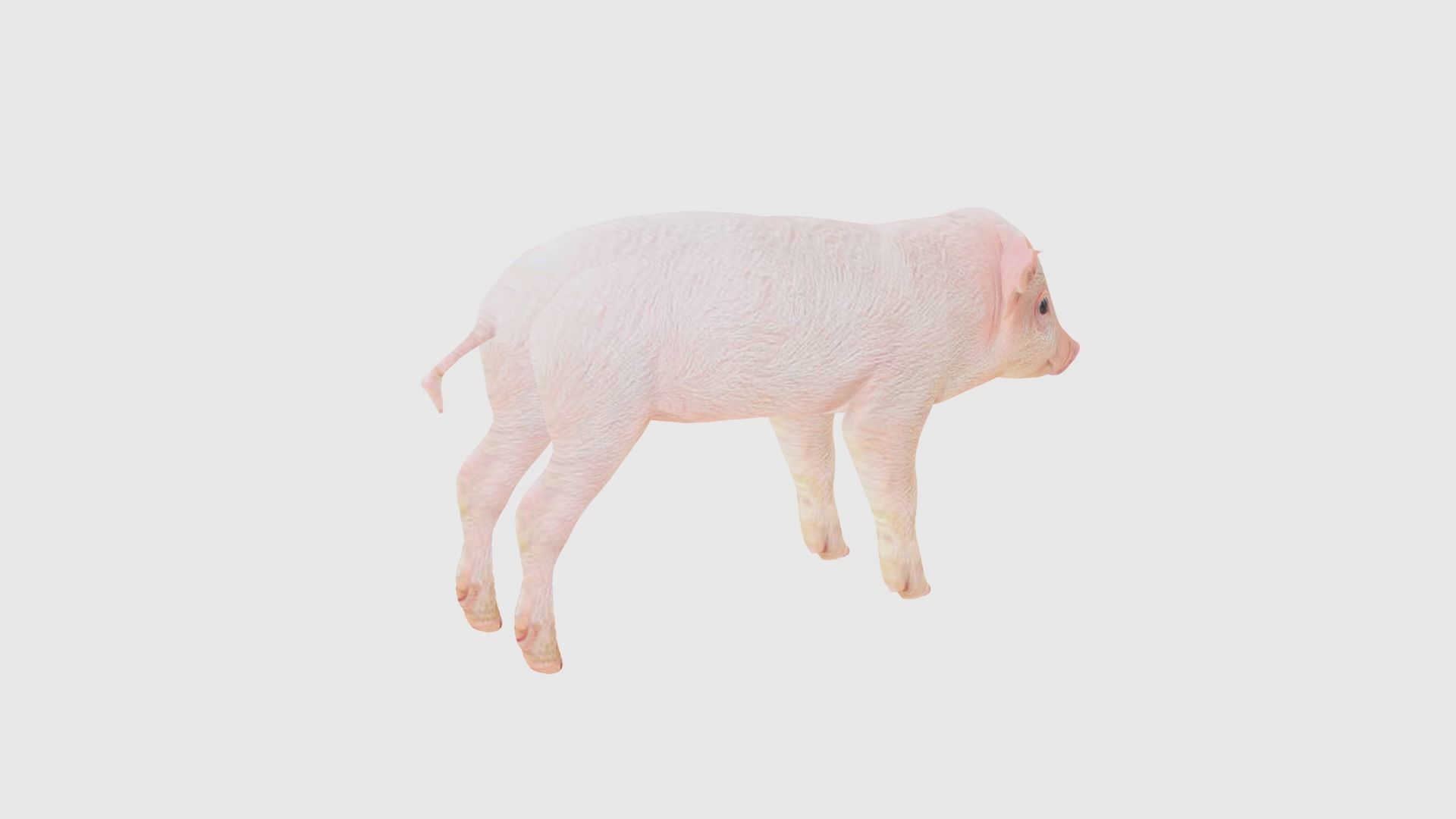 Low Poly Pig Rigged With Realistic Texture 3D model rigged | CGTrader