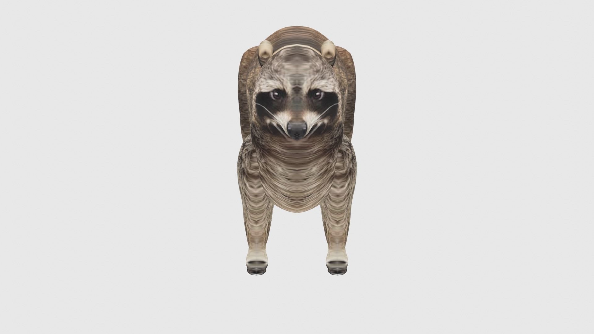 Low Poly Raccoon Rigged With Realistic Texture 3D model rigged | CGTrader