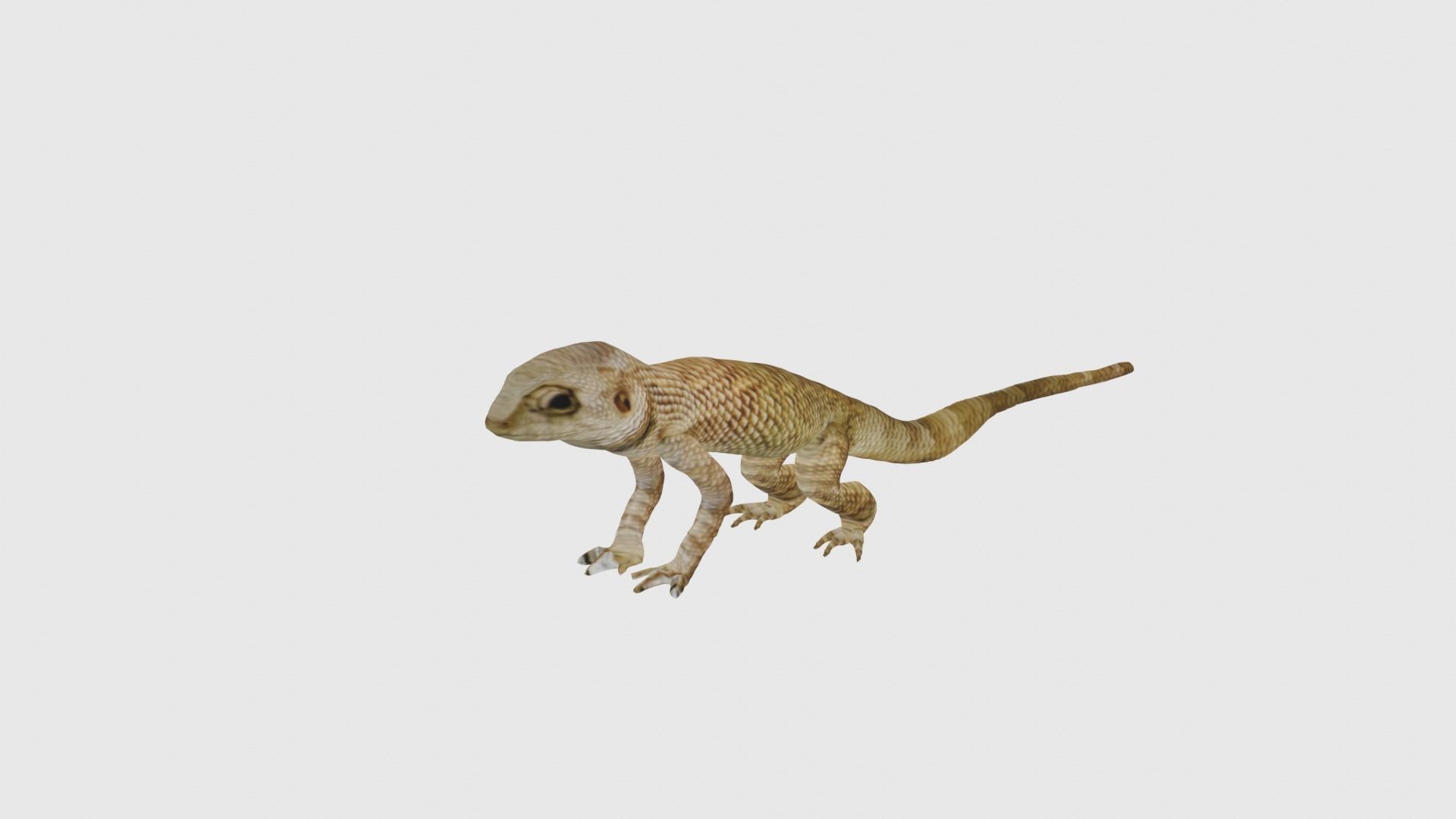 3D model Low Poly Lizard Rigged With Realistic Texture VR / AR / low ...