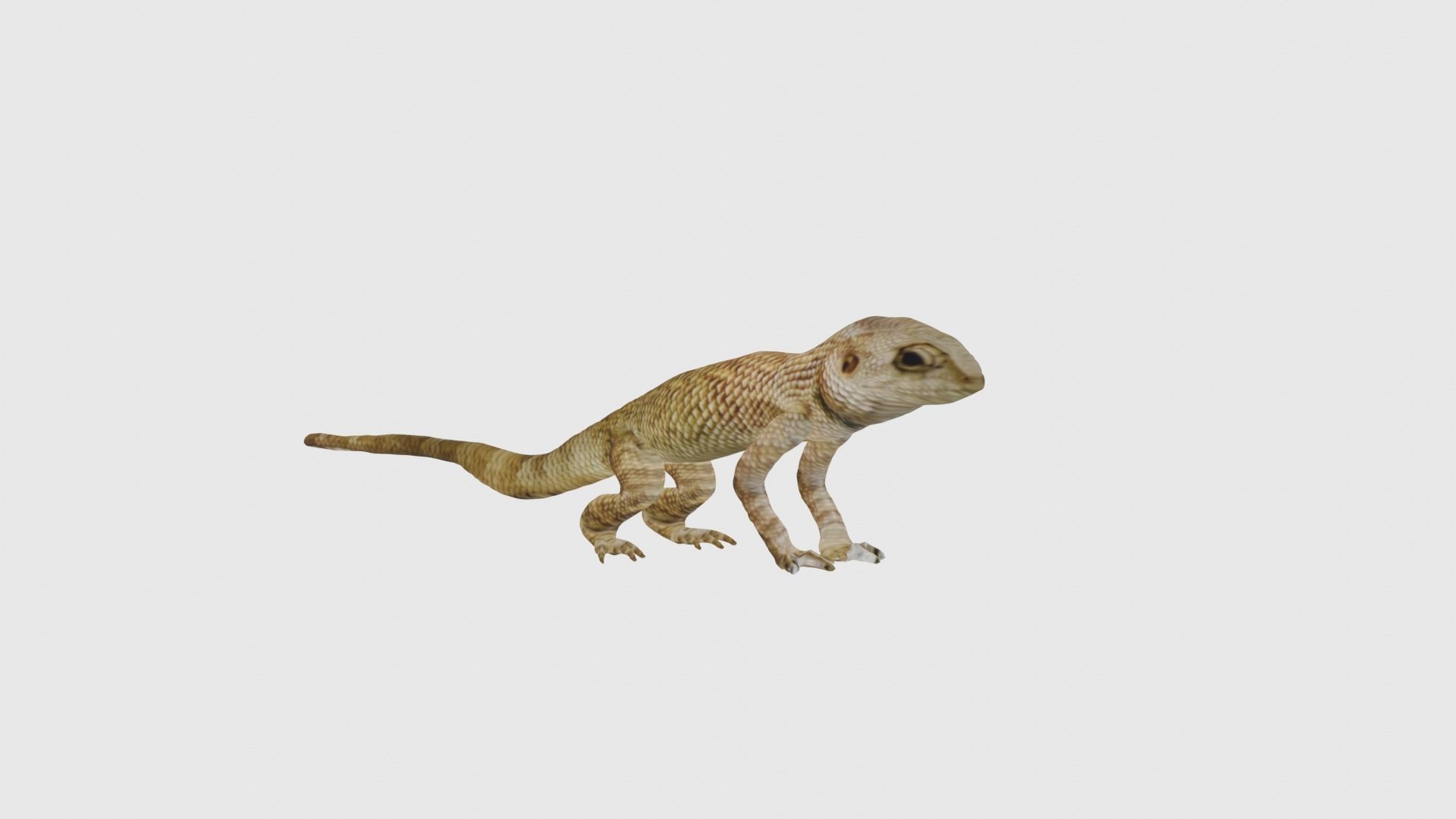 3D model Low Poly Lizard Rigged With Realistic Texture VR / AR / low ...