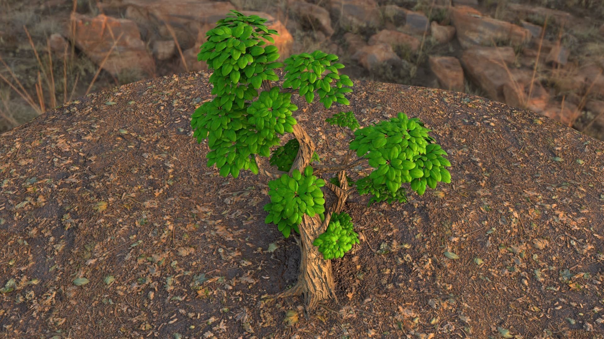 3D model Realistic Tree for games 3D model VR / AR / low-poly | CGTrader