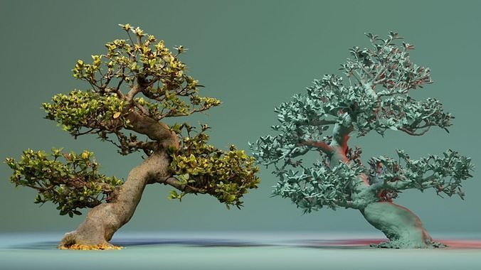 Enchanted Tree 3 3D model | CGTrader