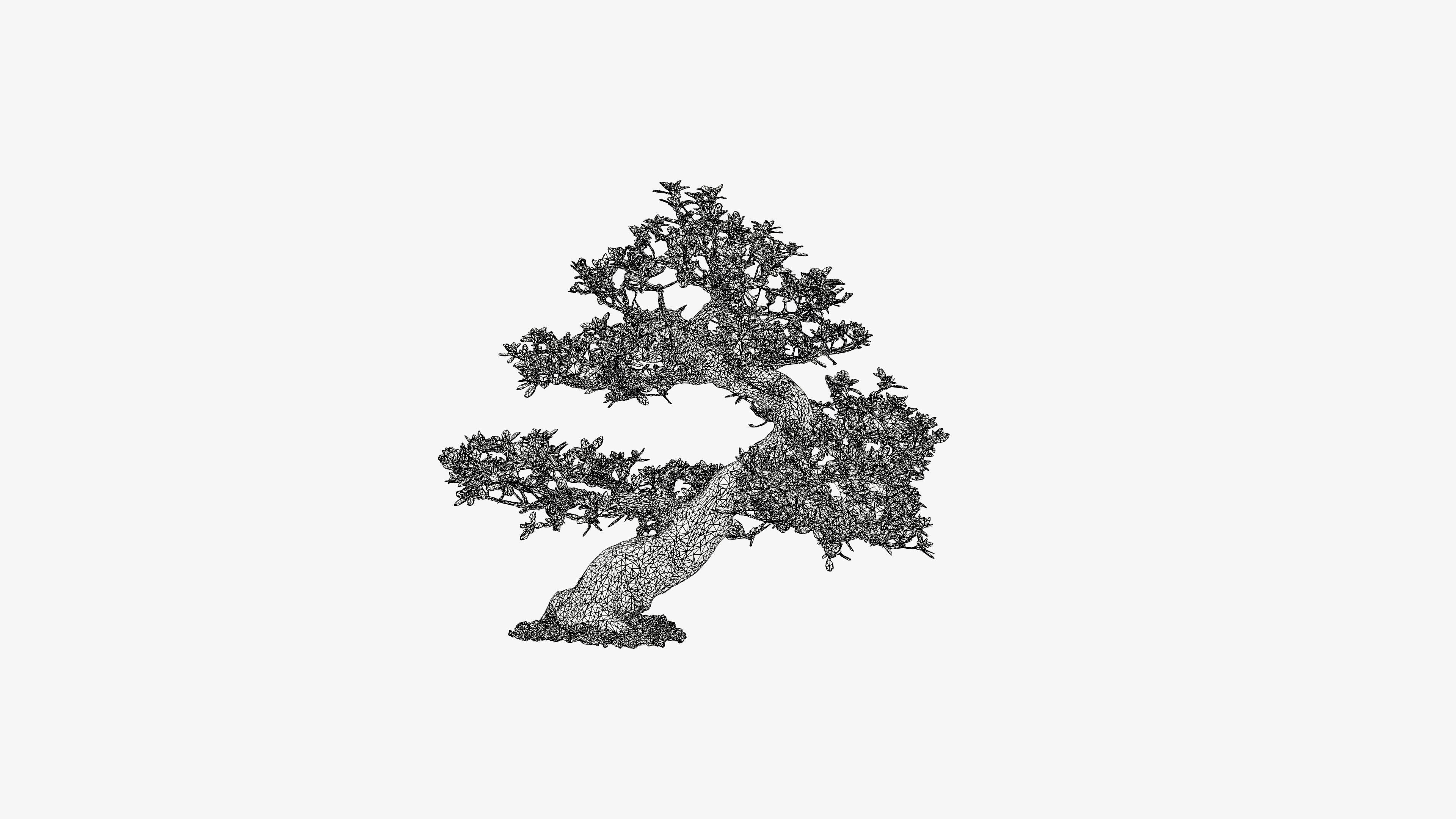 Enchanted Tree 3 3D model | CGTrader
