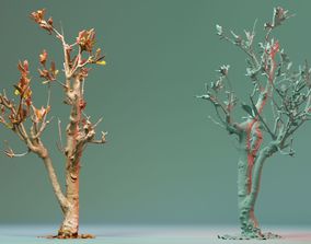 Tree 3D Models | CGTrader