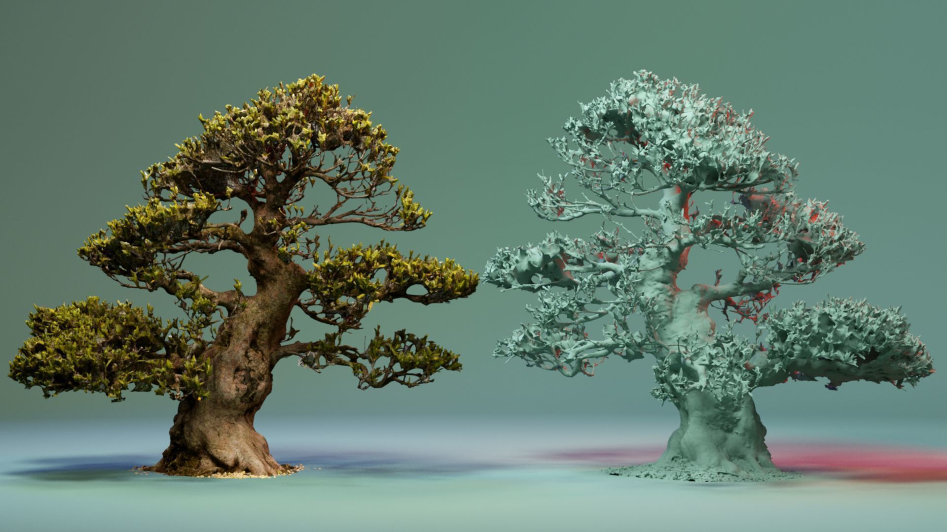 Enchanted Big Tree 4 3D model | CGTrader