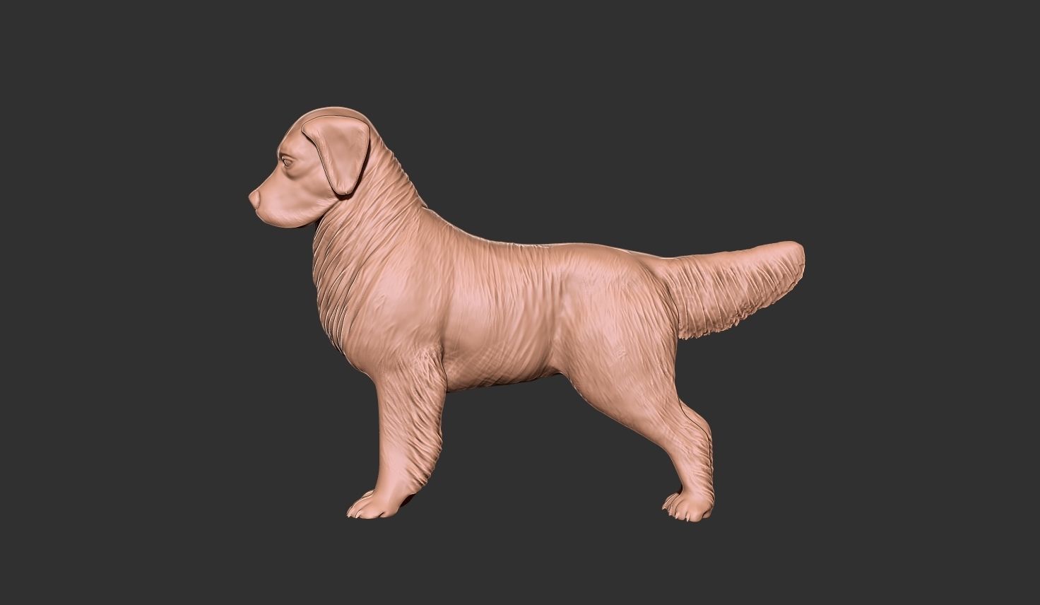 dog bas relief 3D model 3D printable | CGTrader