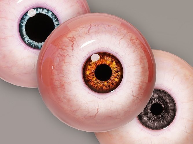 3d Model Eyes With Pupil Dilation Animation Vr Ar Low Poly Cgtrader