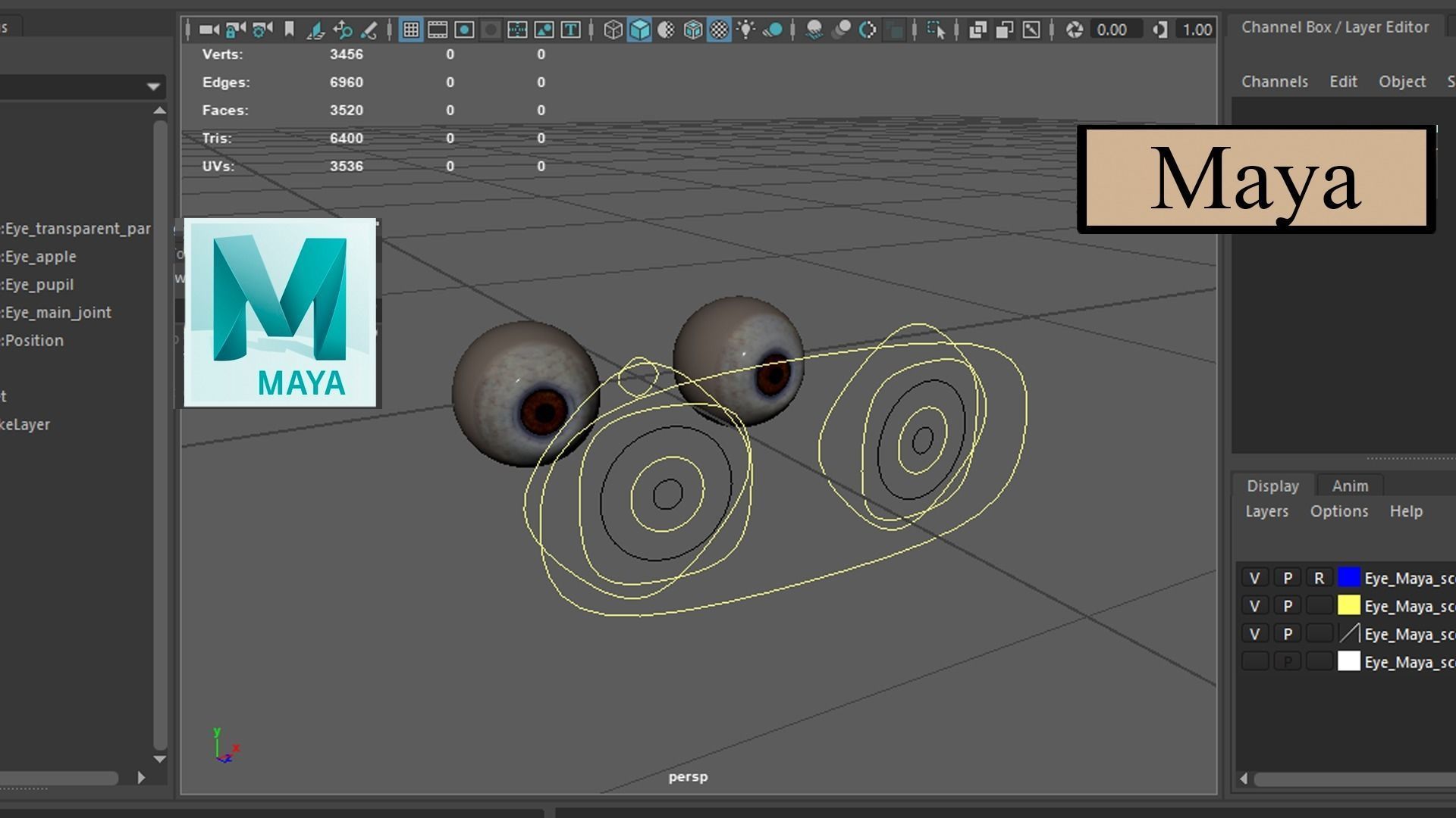 3D model Eyes with Pupil dilation animation VR / AR / low-poly | CGTrader
