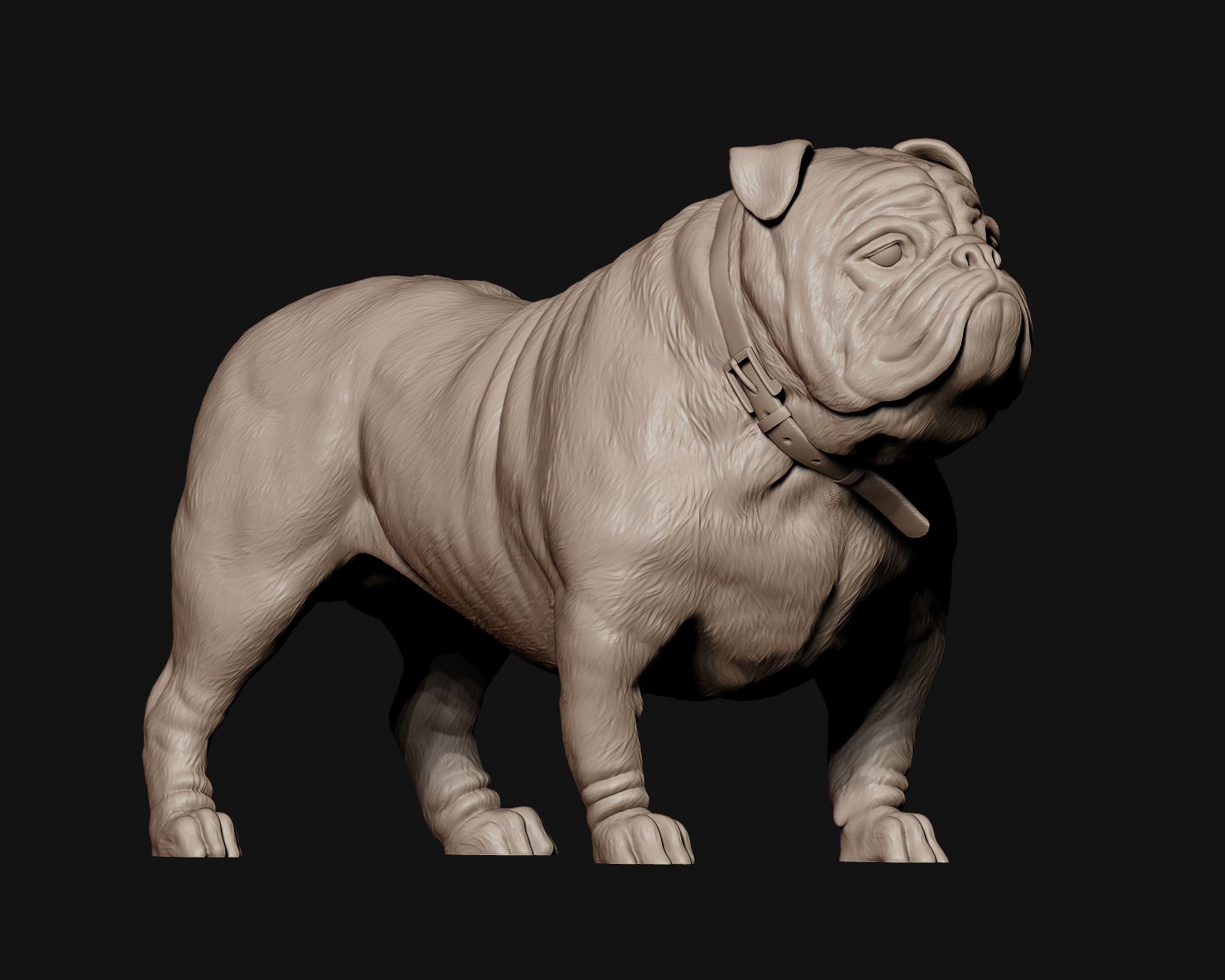 Bulldog model 3D model 3D printable | CGTrader