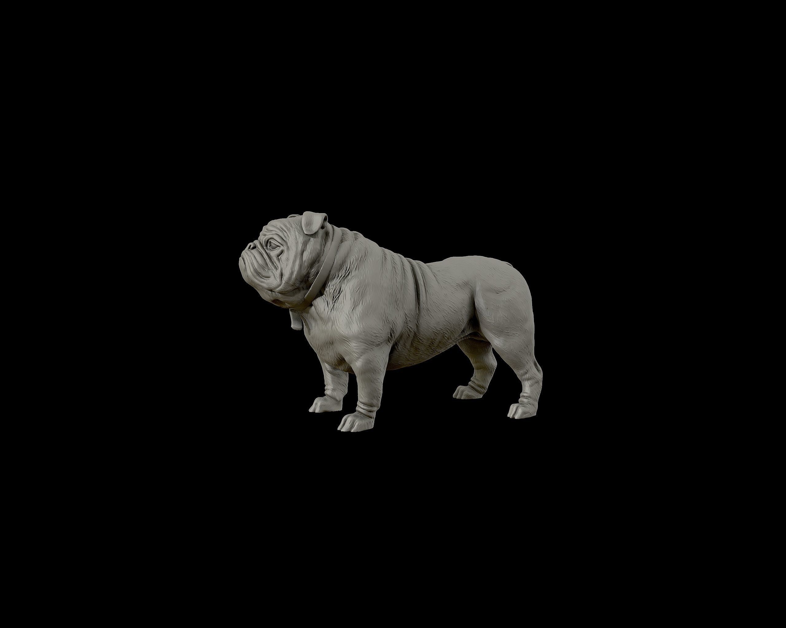 Bulldog model 3D model 3D printable | CGTrader