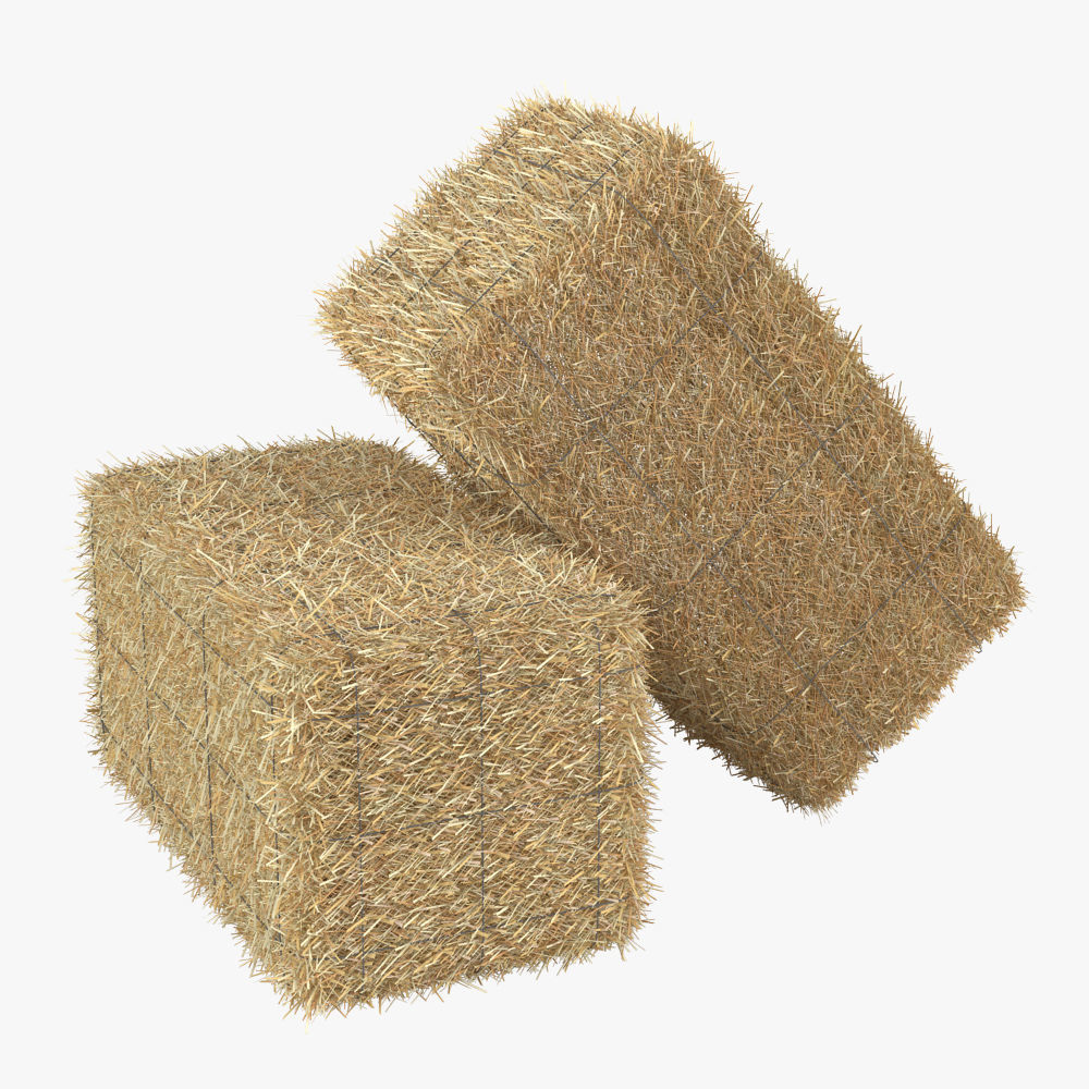Hay Bale 3D model | CGTrader