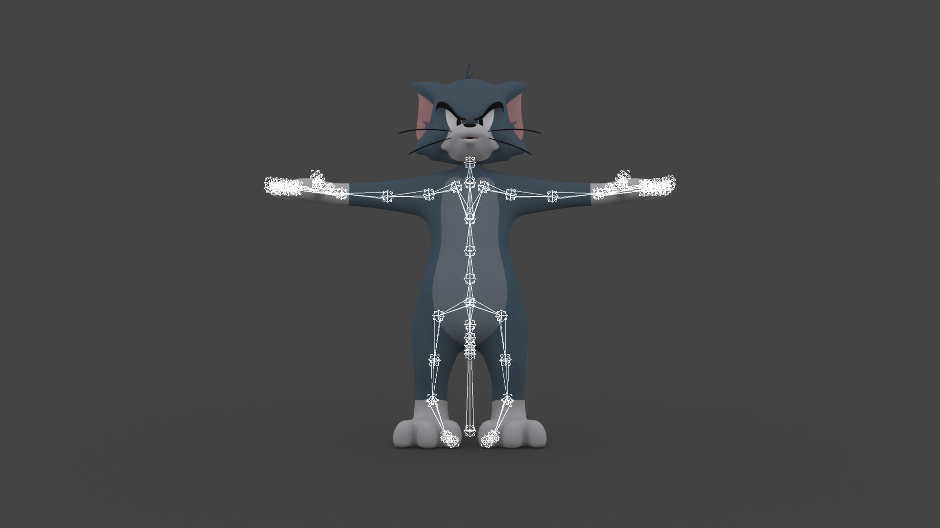 TOMZ-003 Rigged Tom Cat 3D model rigged | CGTrader