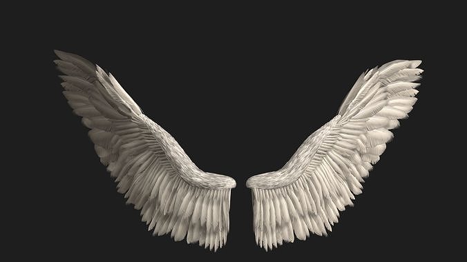 Angel Wings 3D model animated rigged | CGTrader
