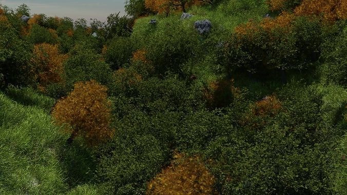 forest free 3D model | CGTrader
