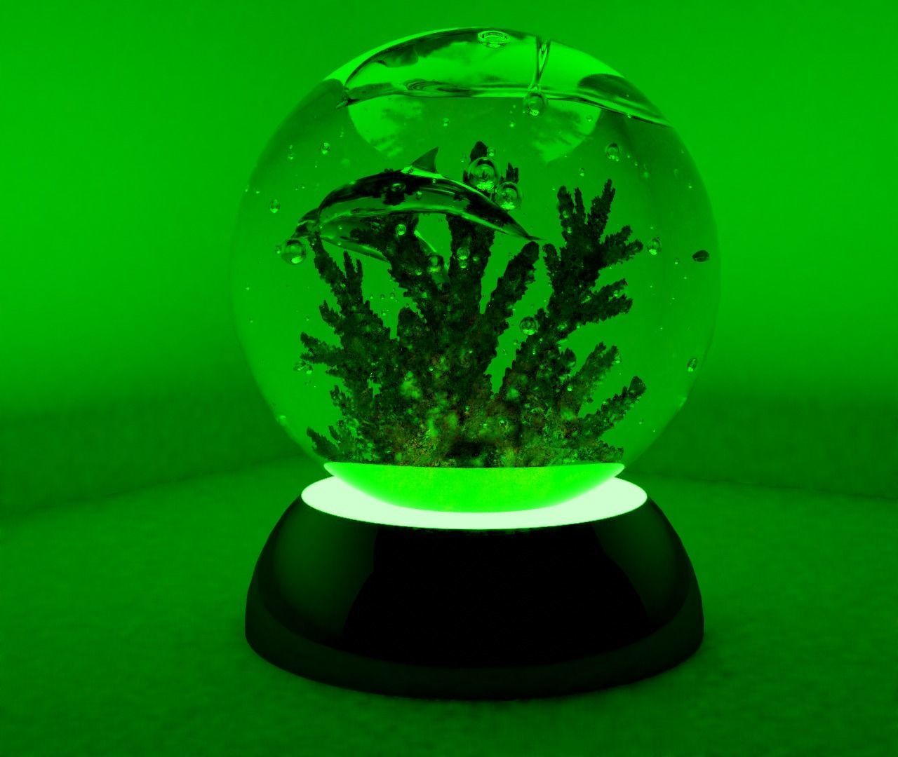 Night light with dolphins free 3D model animated | CGTrader