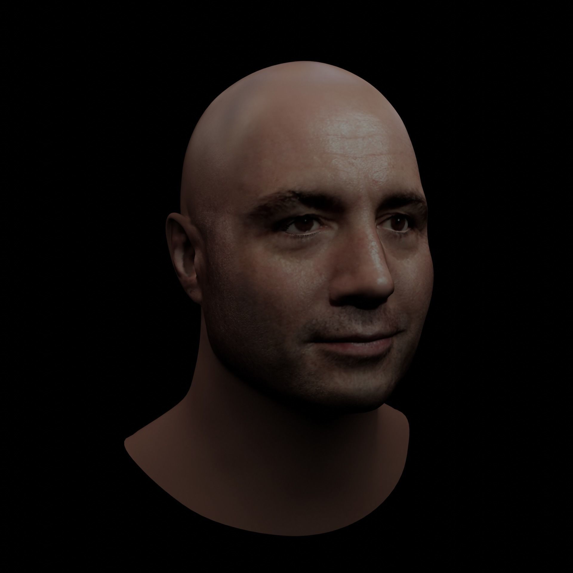 3D model Joe Rogan VR / AR / low-poly | CGTrader