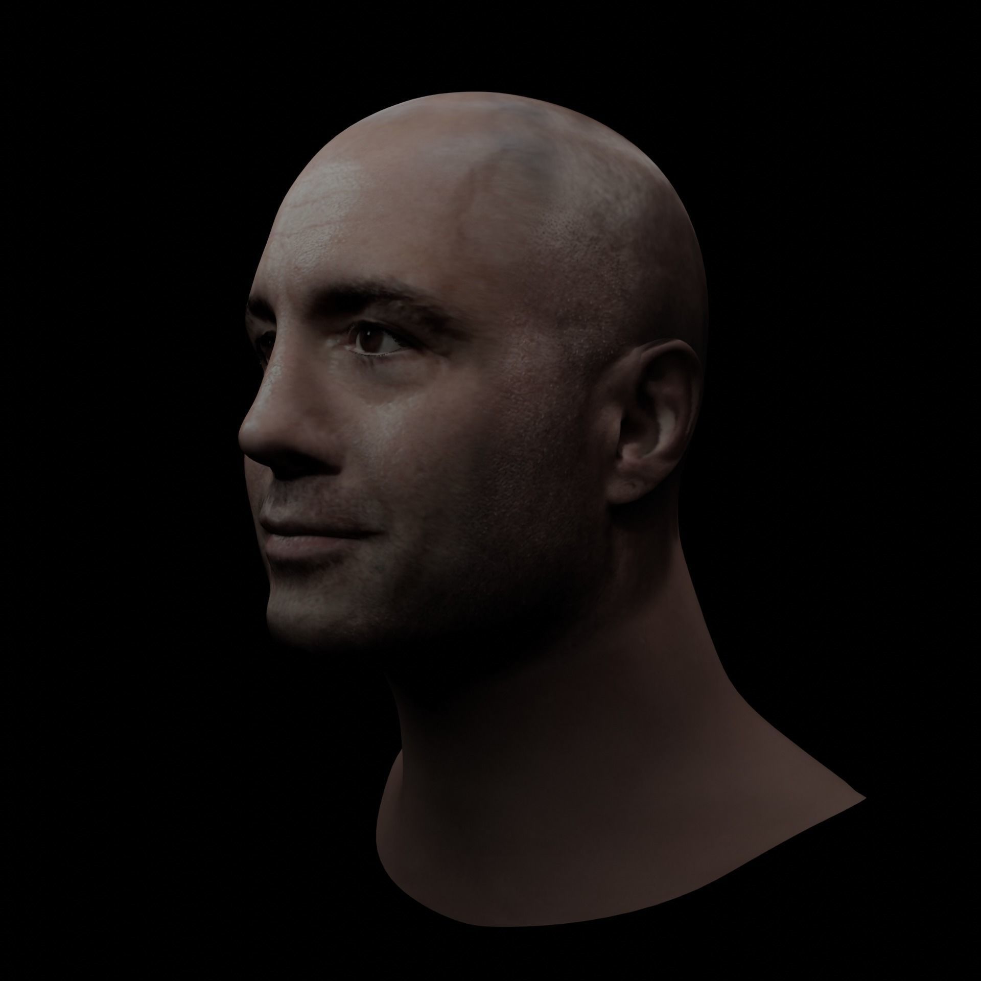 3D model Joe Rogan VR / AR / low-poly | CGTrader