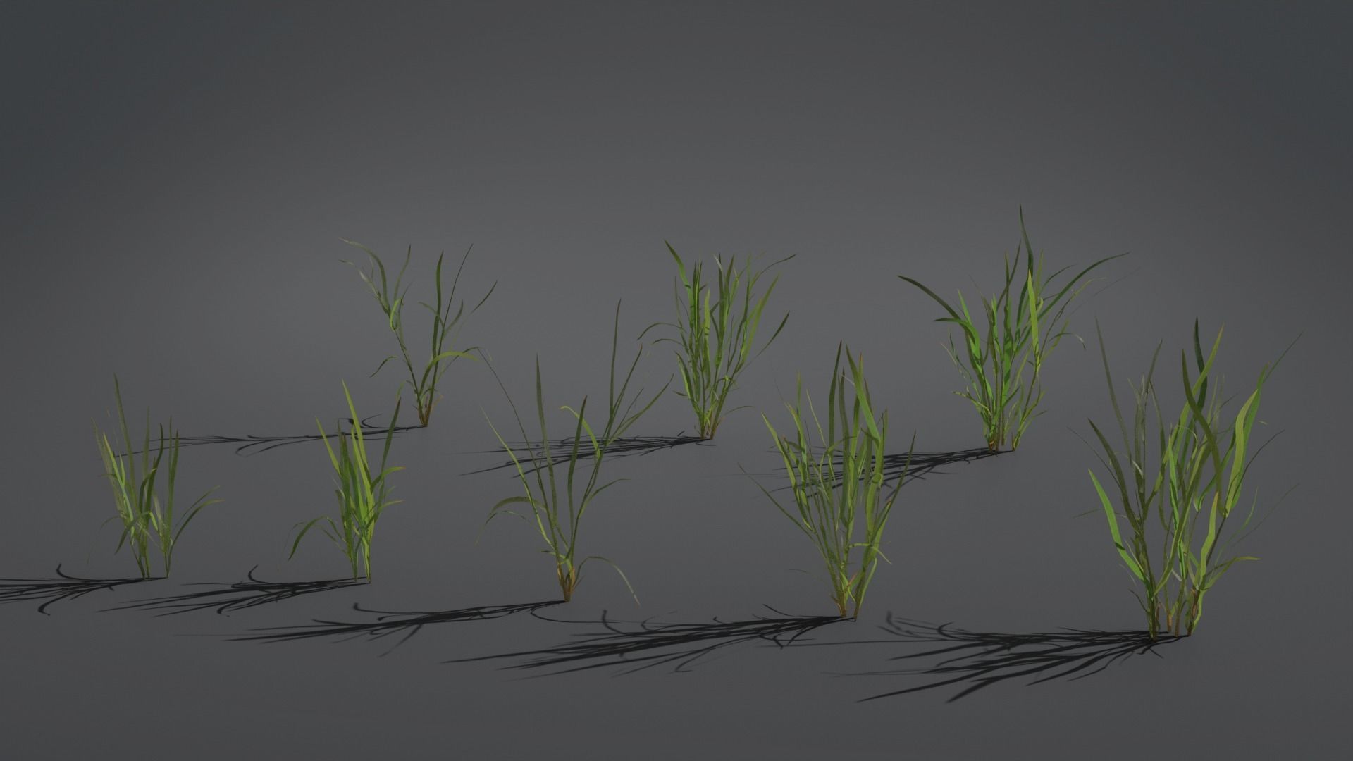 Grass Kit VFX Grace 3D model | CGTrader